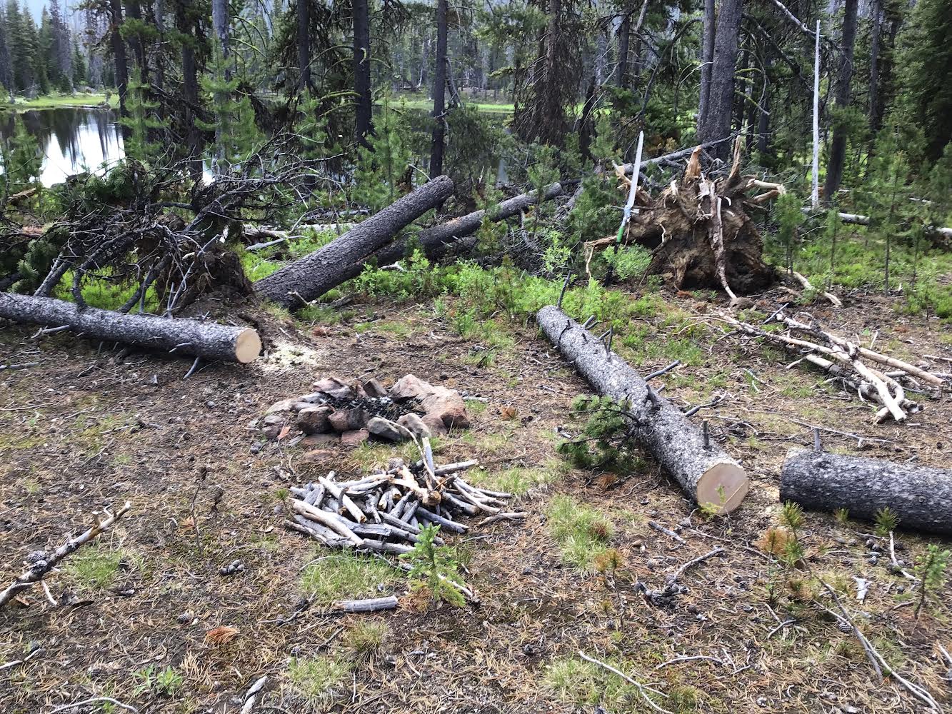 Coleman Ridge, Andrews Creek — Washington Trails Association