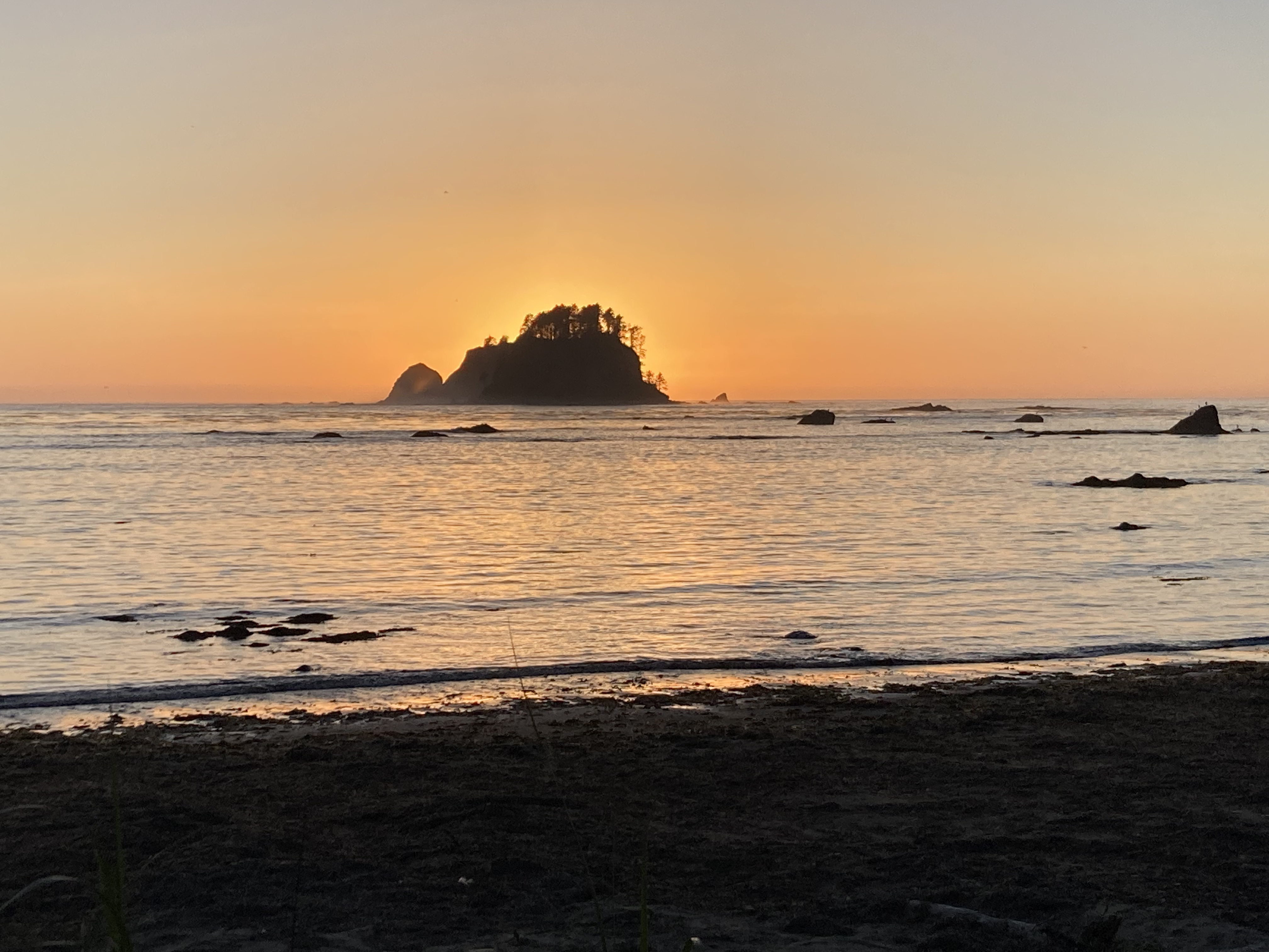 Cape Alava — Washington Trails Association