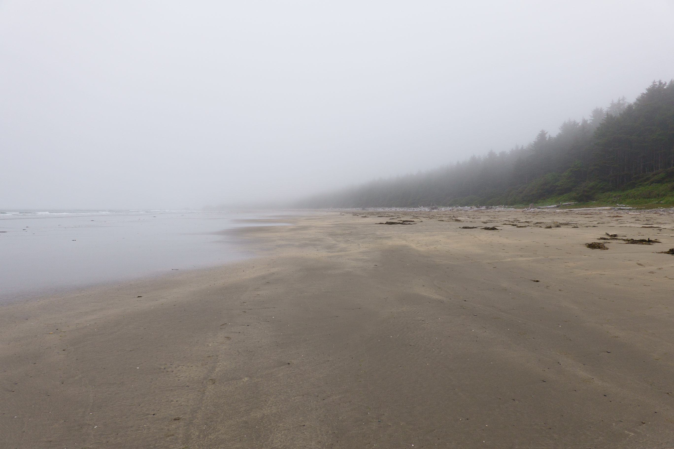 Sand Point — Washington Trails Association