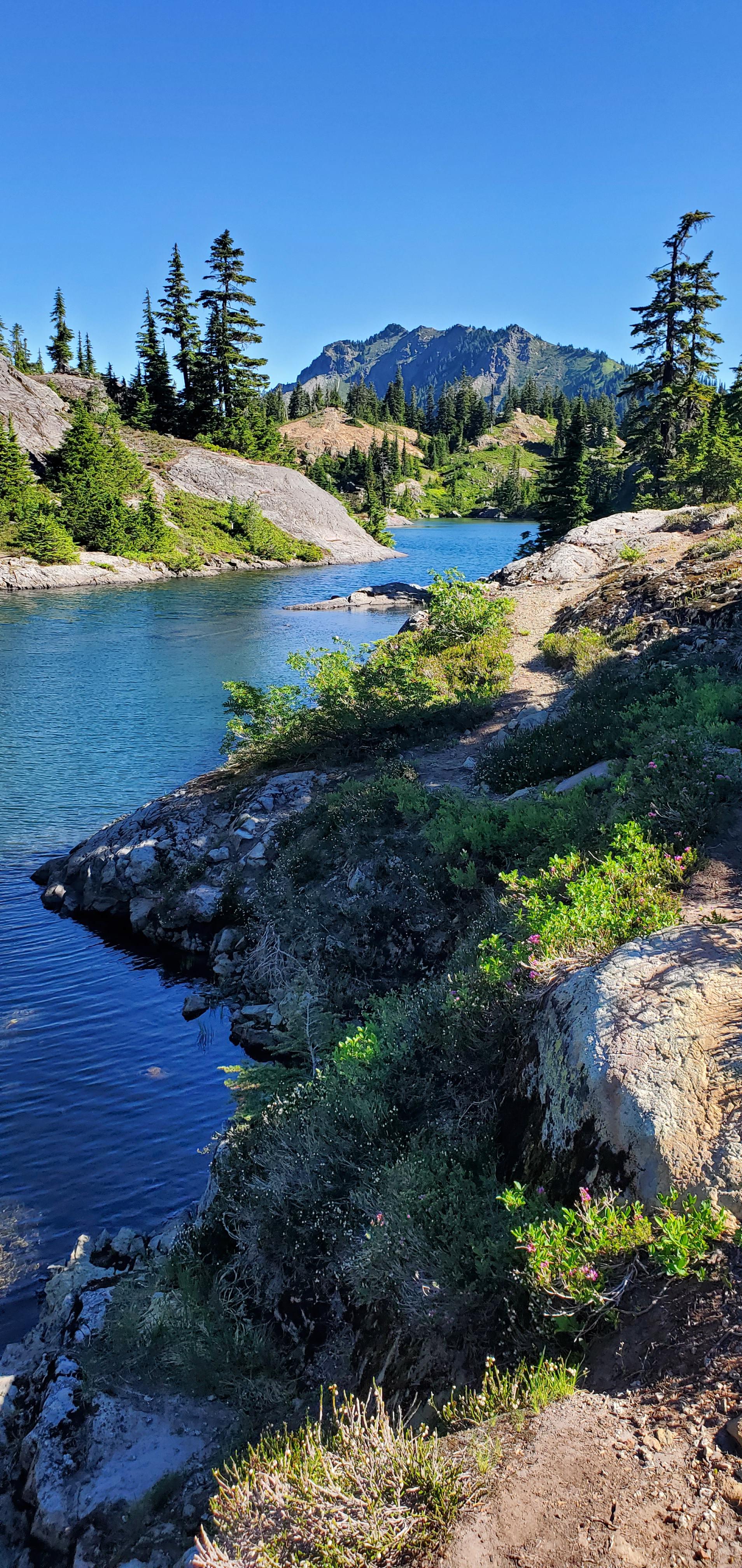 Rampart Ridge - Rampart Lakes, Rachel Lake — Washington Trails Association