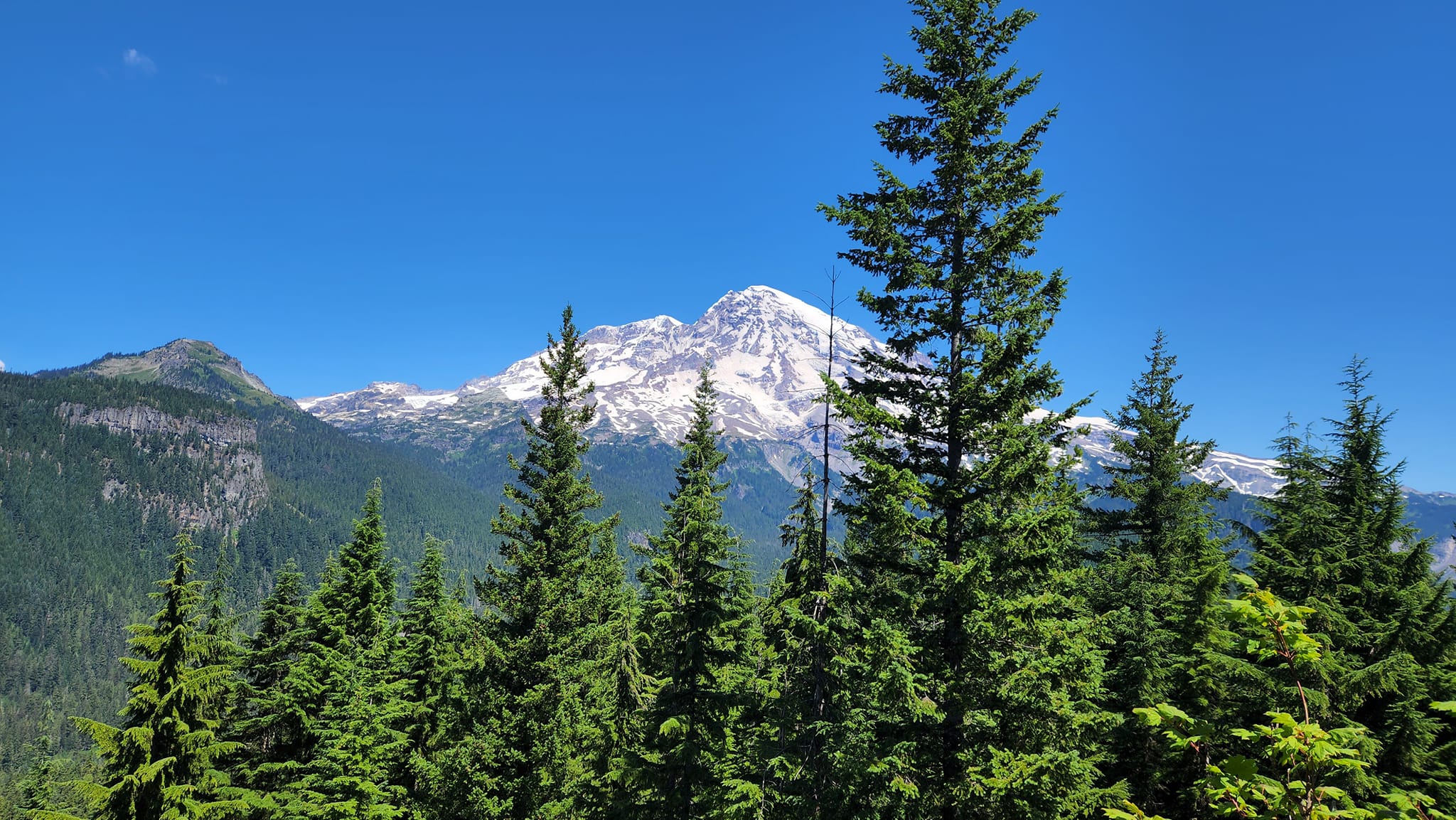 Rampart Ridge Loop, Mildred Point, Trail of the Shadows — Washington ...
