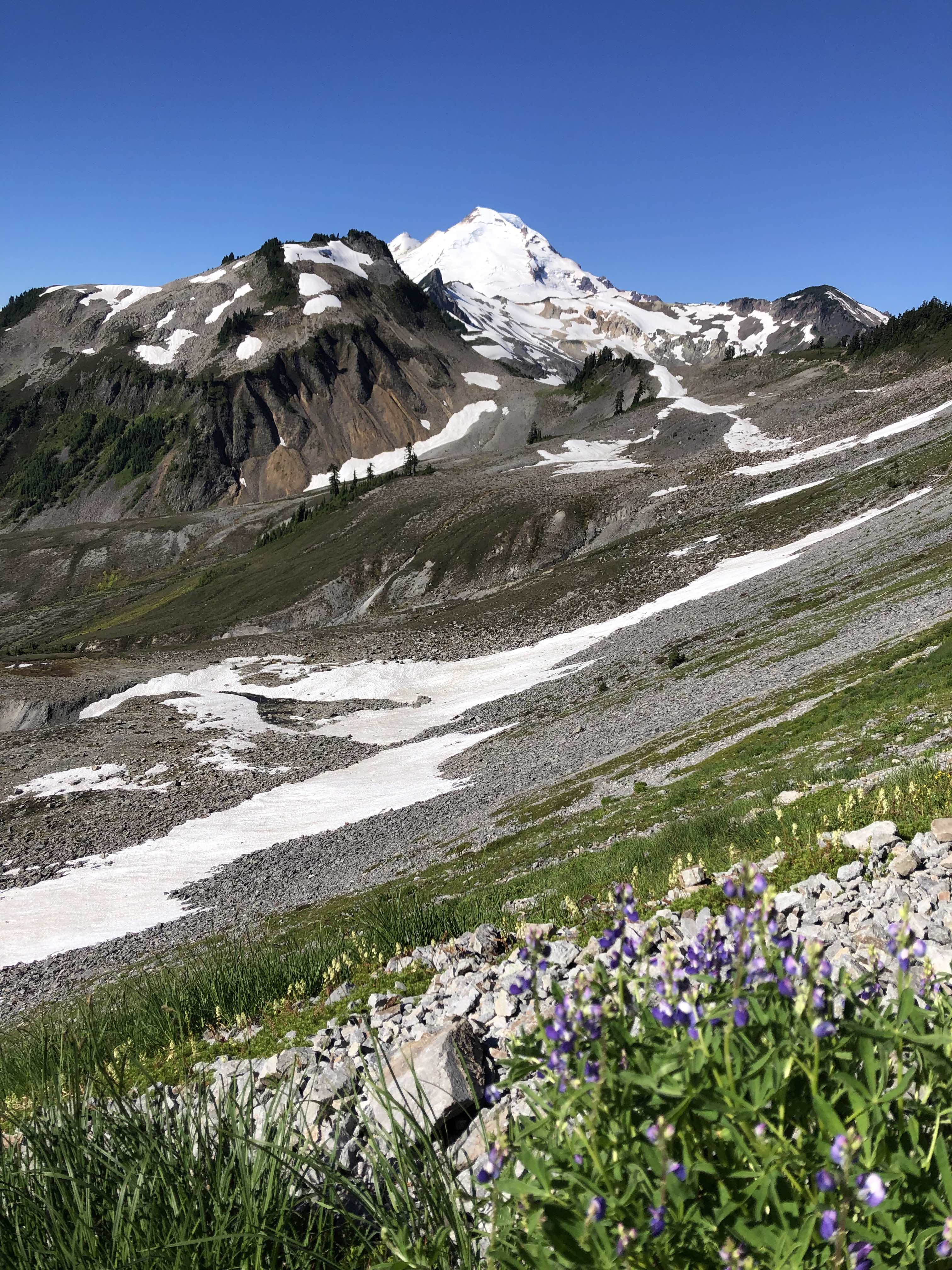 Ptarmigan Ridge — Washington Trails Association