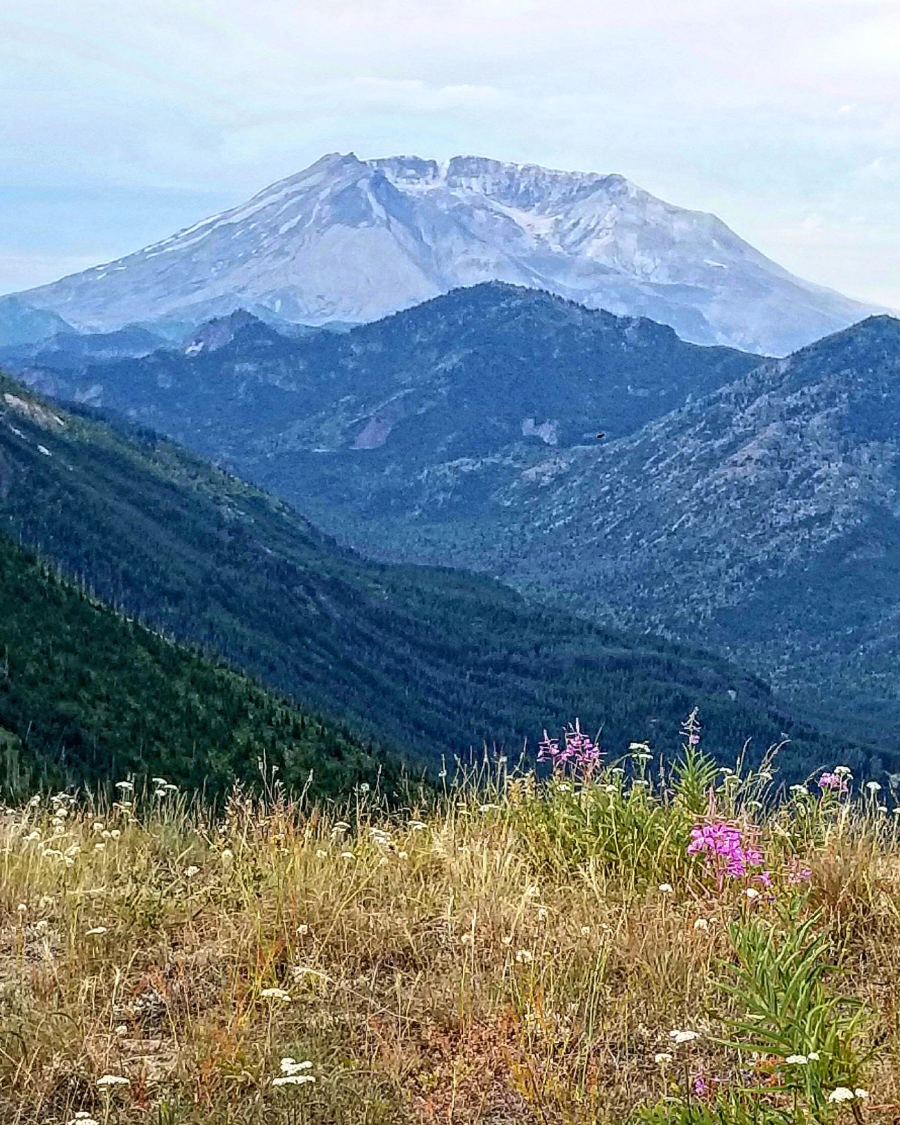 Strawberry Mountain — Washington Trails Association