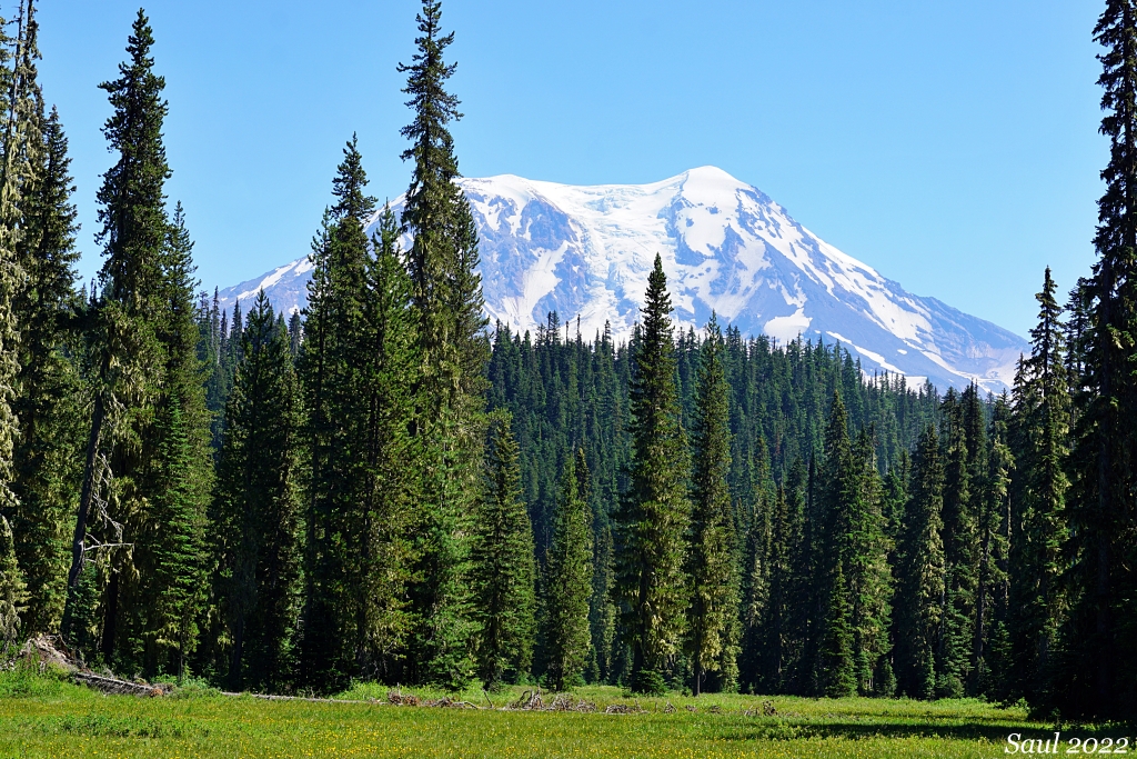 Takhlakh Lake and Takh Takh Meadow — Washington Trails Association