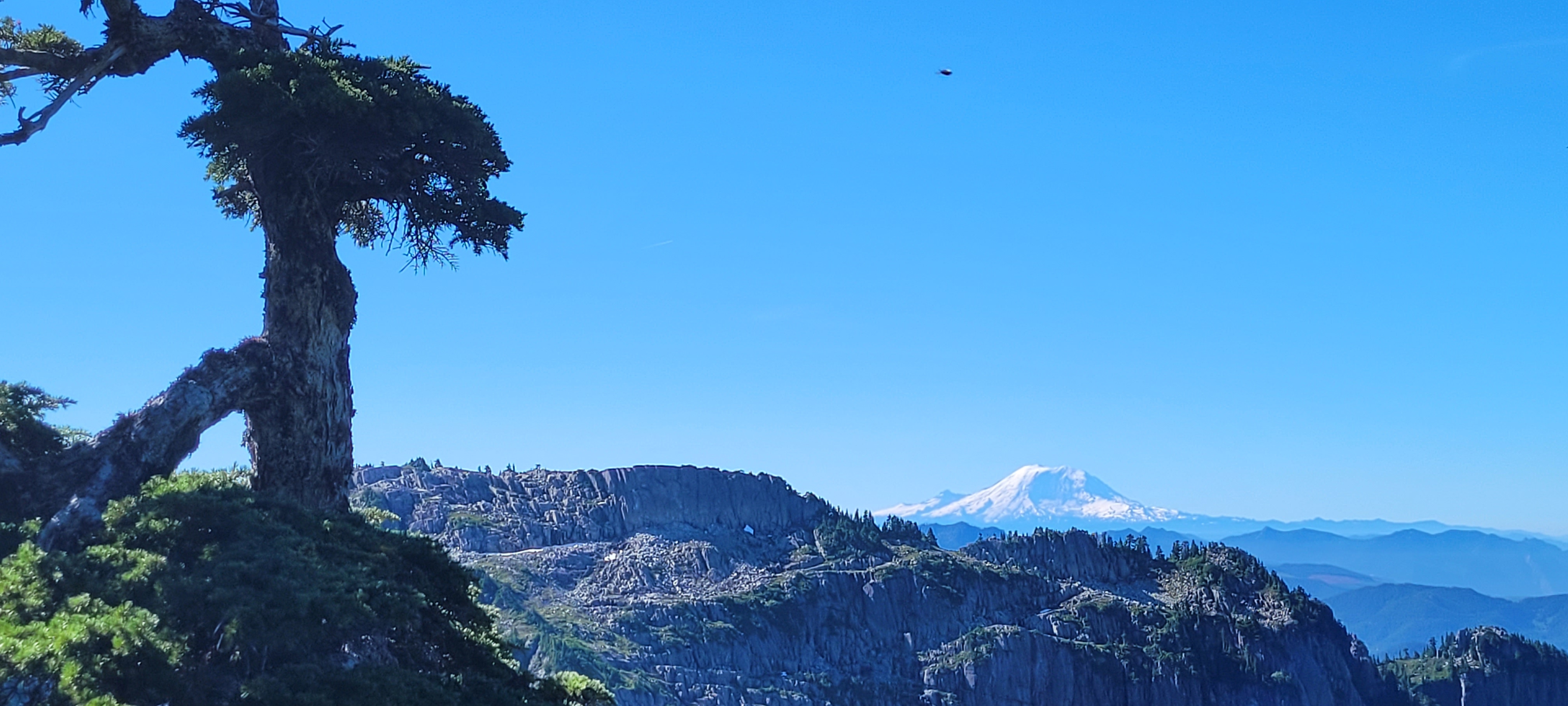 Mount Persis — Washington Trails Association