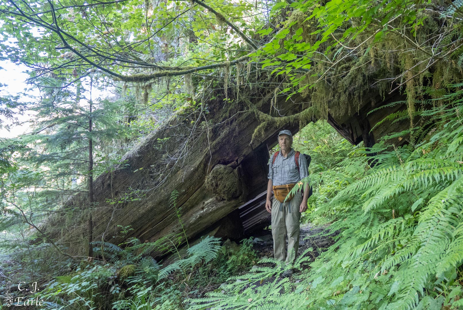 Three Lakes — Washington Trails Association