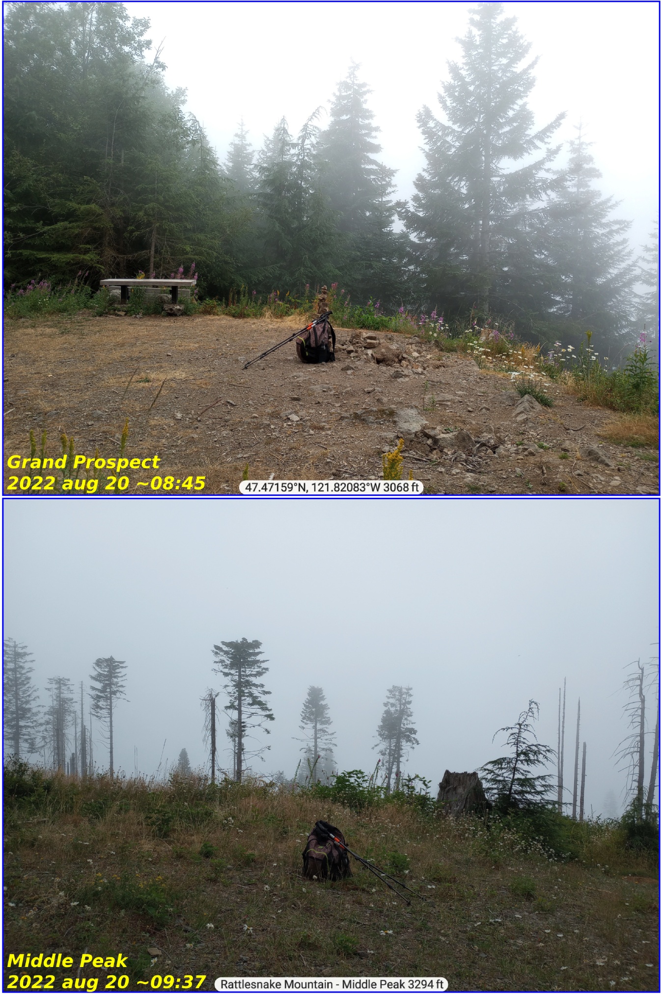 Rattlesnake Mountain — Washington Trails Association