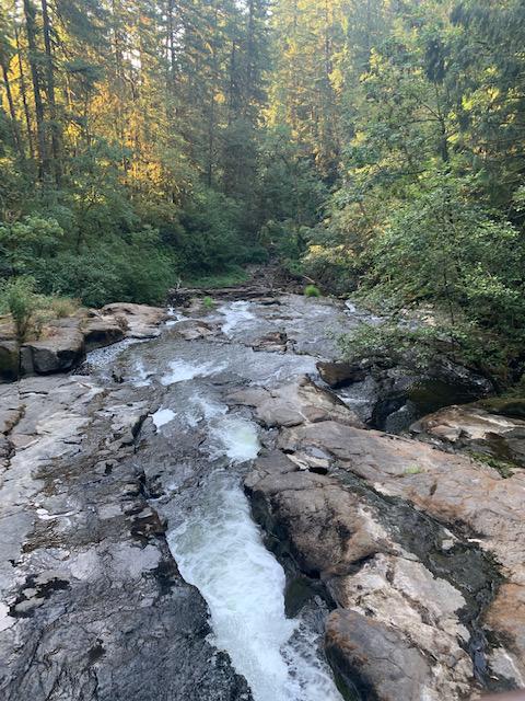 Lacamas Park - Lacamas Creek — Washington Trails Association