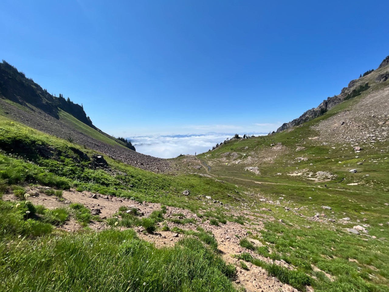 Goat Ridge, Snowgrass Flat, Snowgrass - Cispus Basin - Nannie Ridge ...