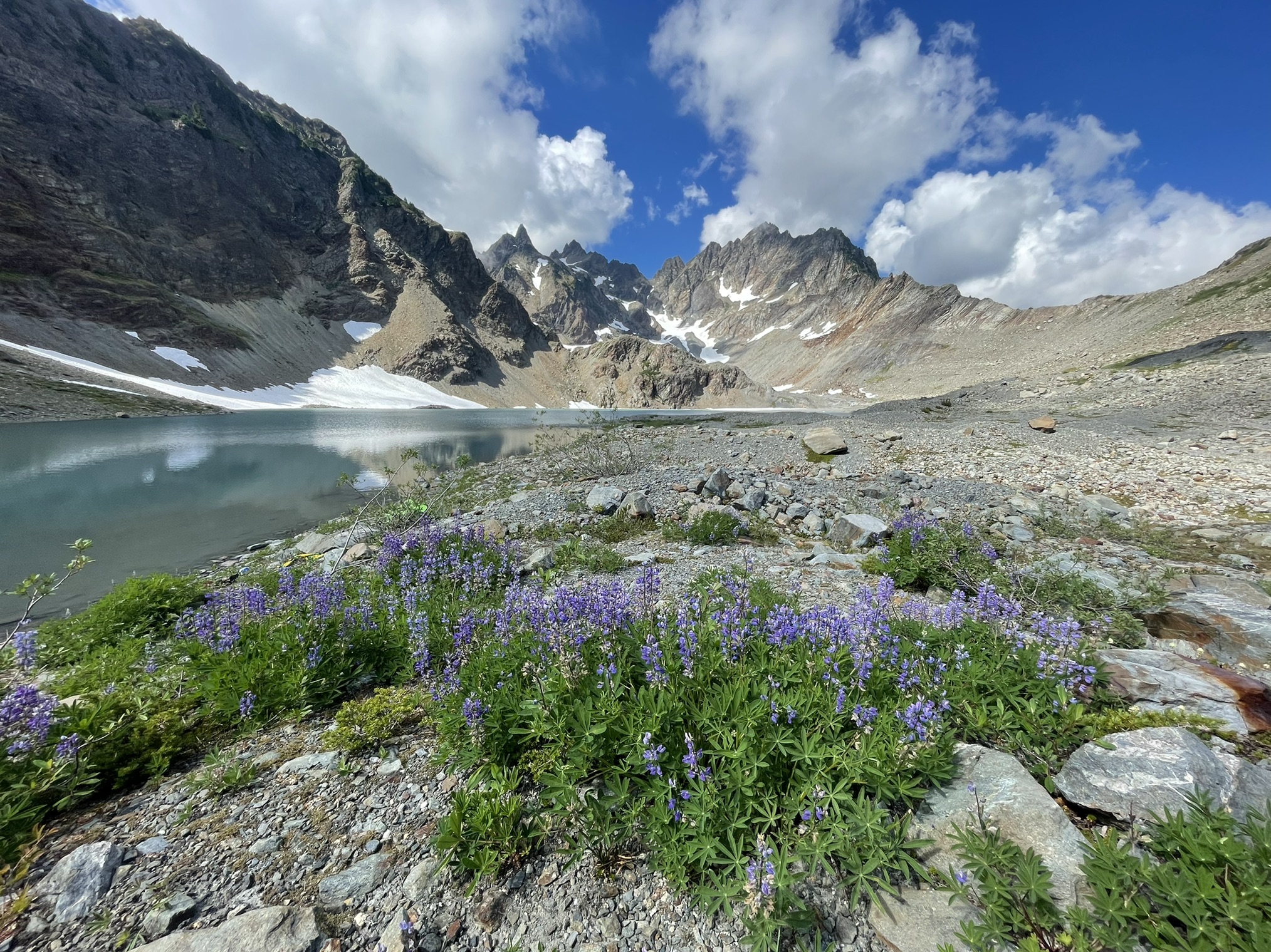Enchanted Valley via East Fork Quinault River — Washington Trails ...