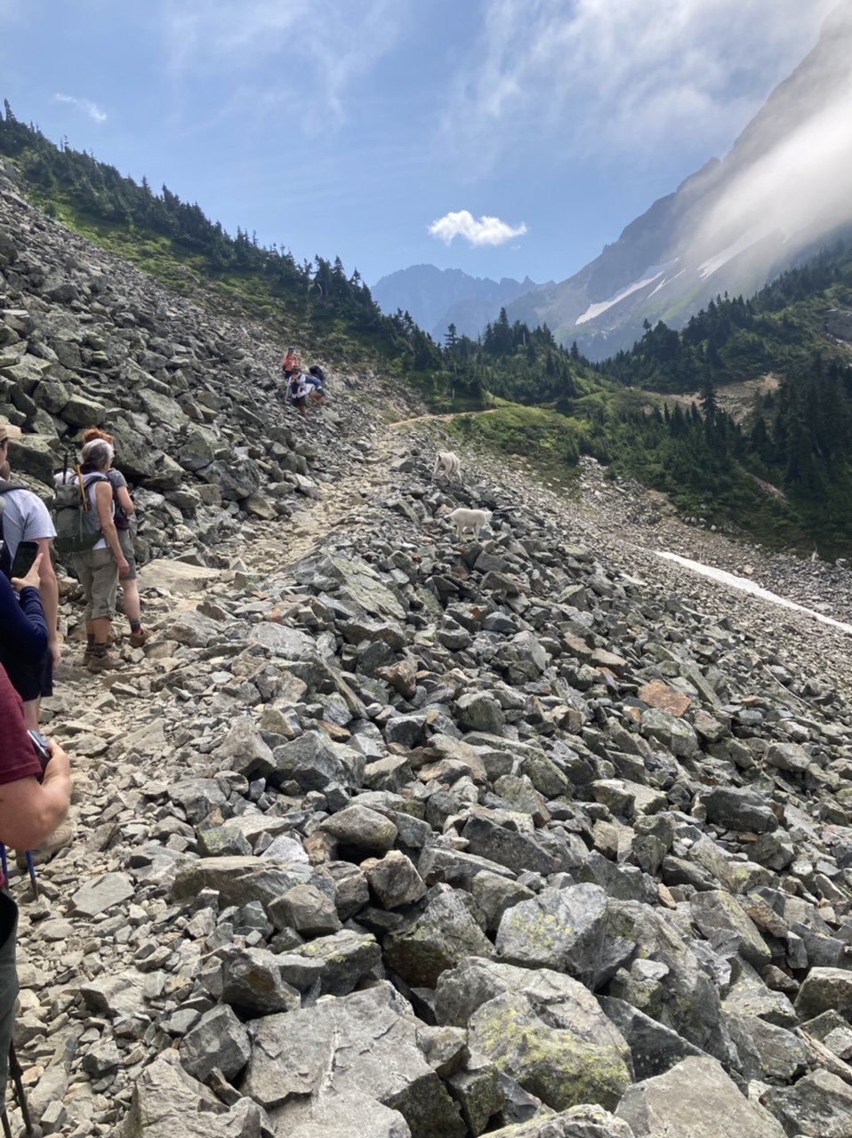 Cascade Pass and Sahale Arm — Washington Trails Association