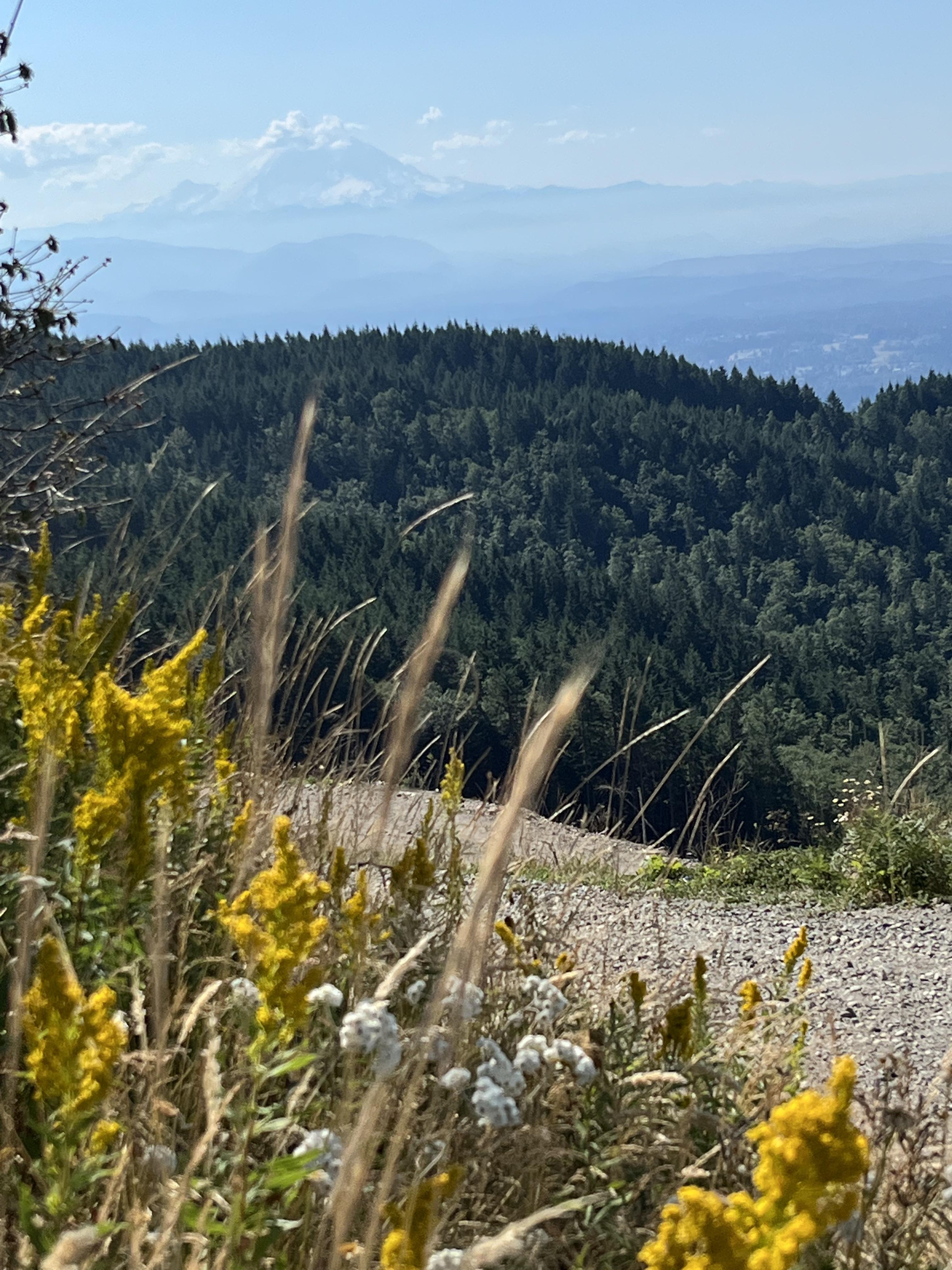 Cable Line Trail, West Tiger 3, West Tiger 2 — Washington Trails ...
