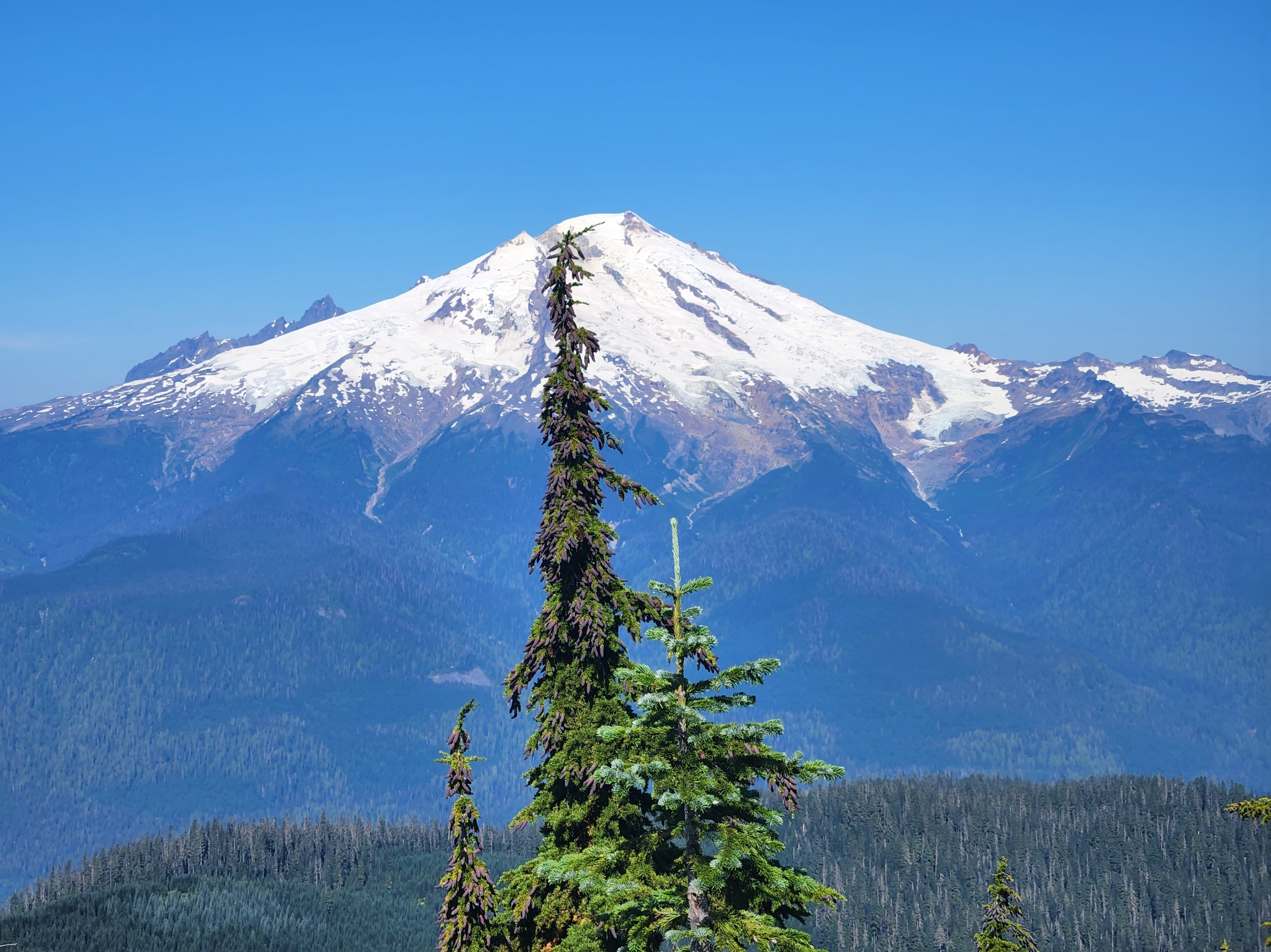 Anderson and Watson Lakes, Anderson Butte — Washington Trails Association