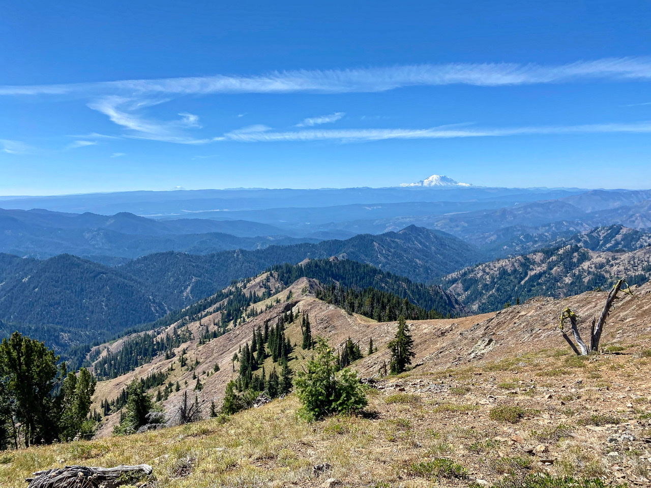 Miller Peak — Washington Trails Association
