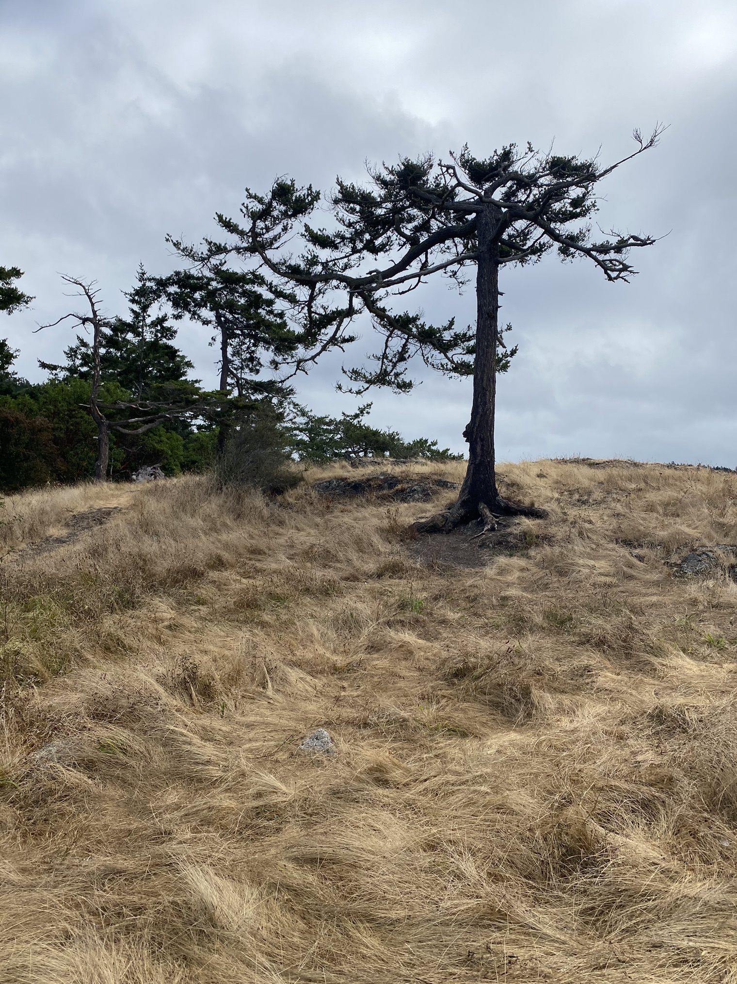 Deception Pass State Park - Headlands / Rosario Head / Lighthouse Point ...