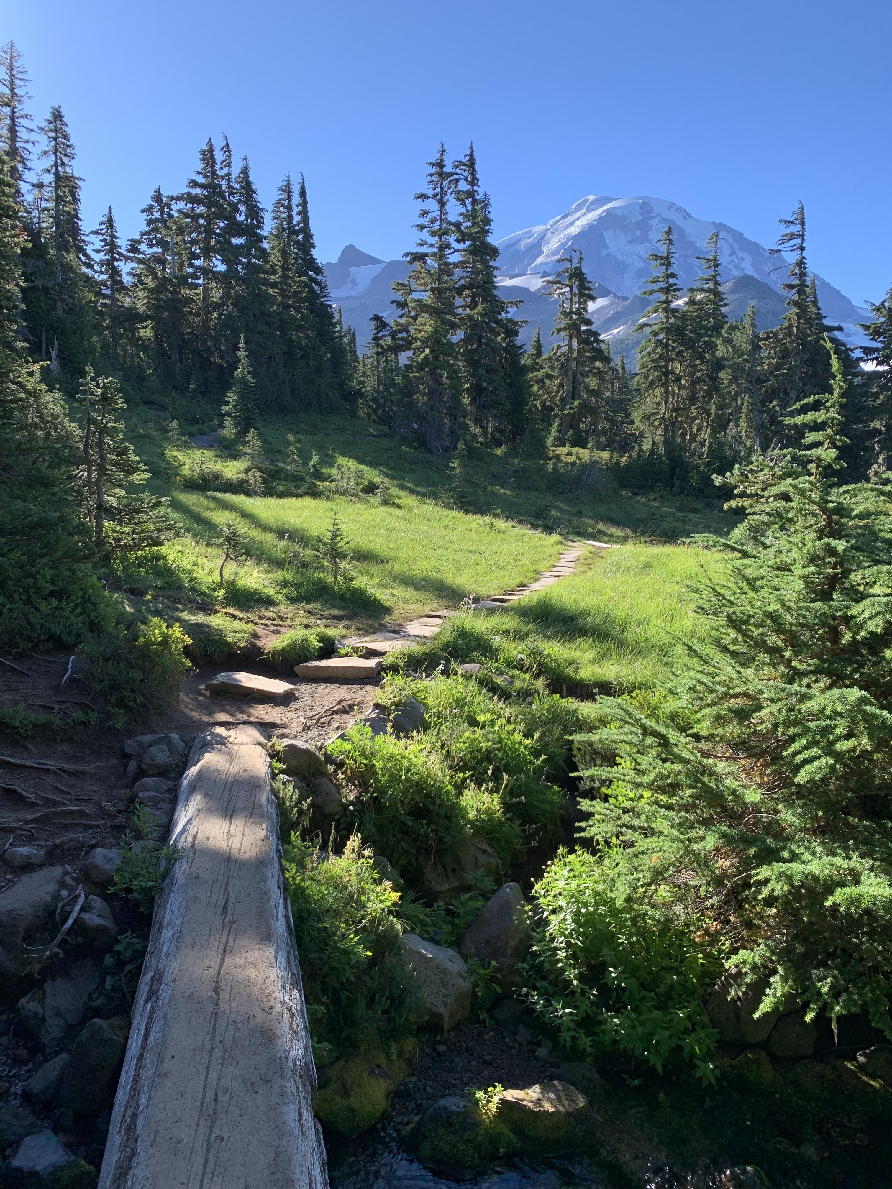 Spray Park Loop, Carbon River to Ipsut Falls, Spray Park — Washington ...