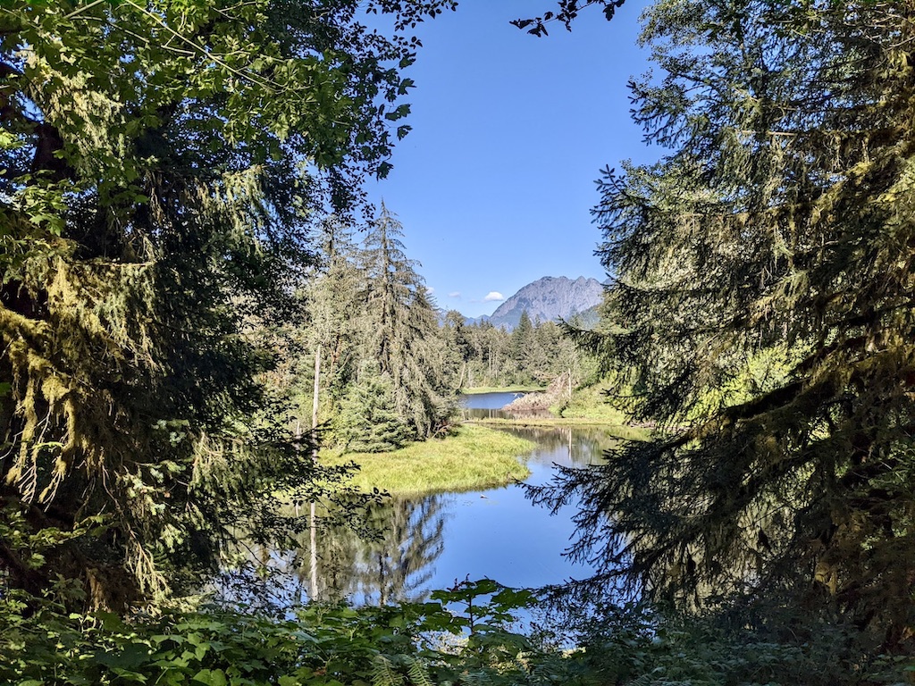 Oxbow Loop Trail — Washington Trails Association