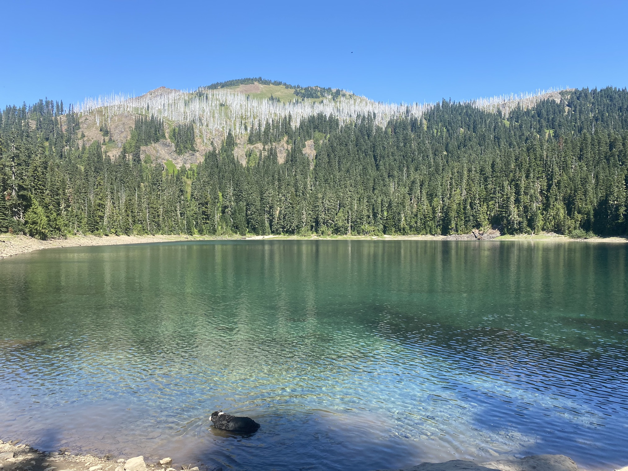 Lost Lake — Washington Trails Association