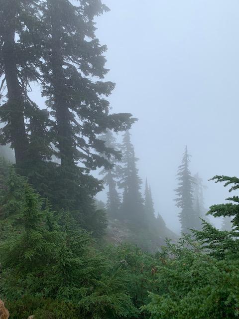 Mount Pilchuck — Washington Trails Association