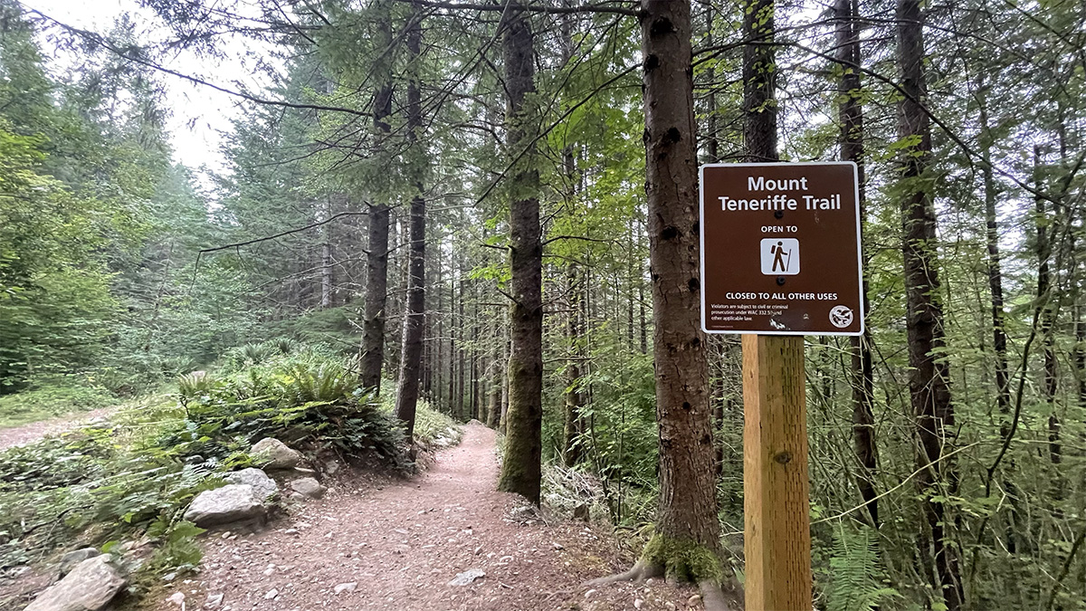Mount Teneriffe — Washington Trails Association