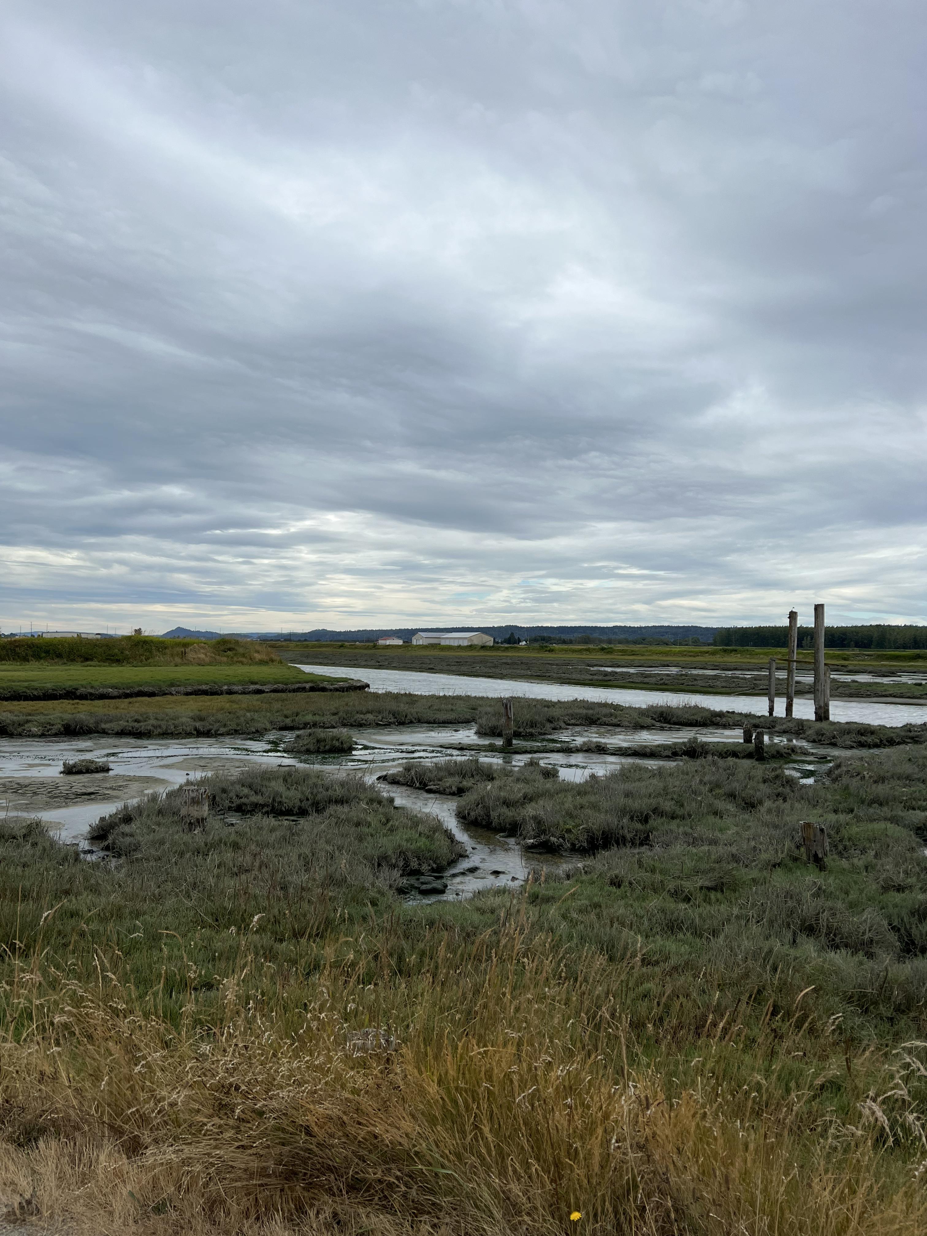 Padilla Bay — Washington Trails Association