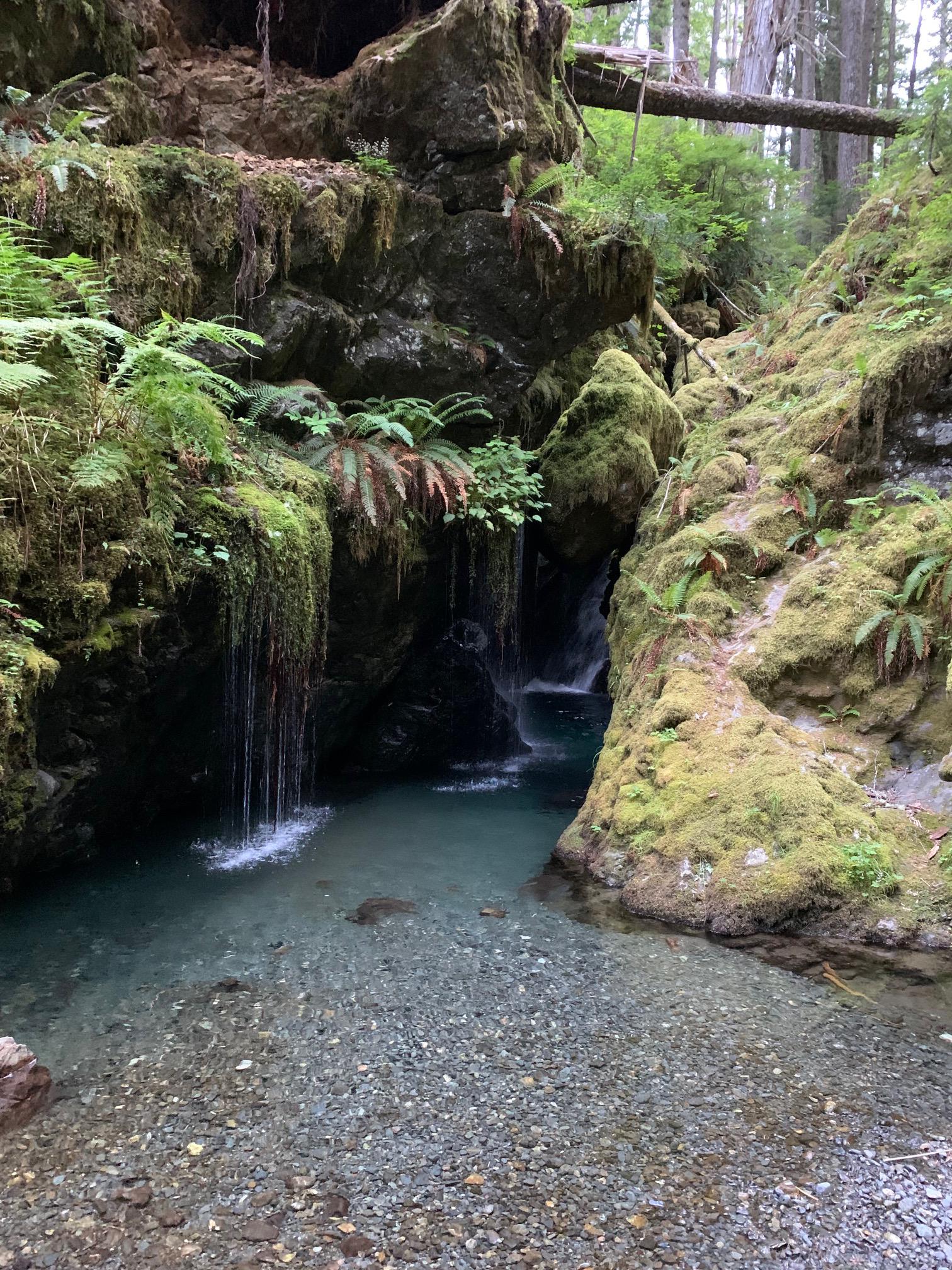 The Brothers — Washington Trails Association