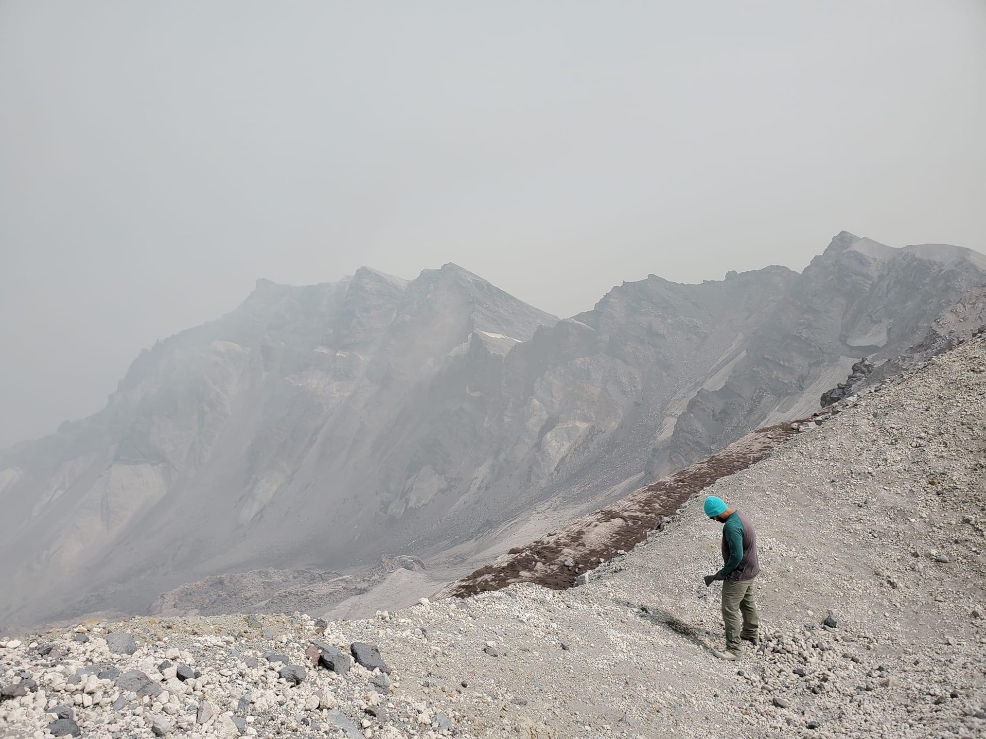 Mount St. Helens - Monitor Ridge — Washington Trails Association