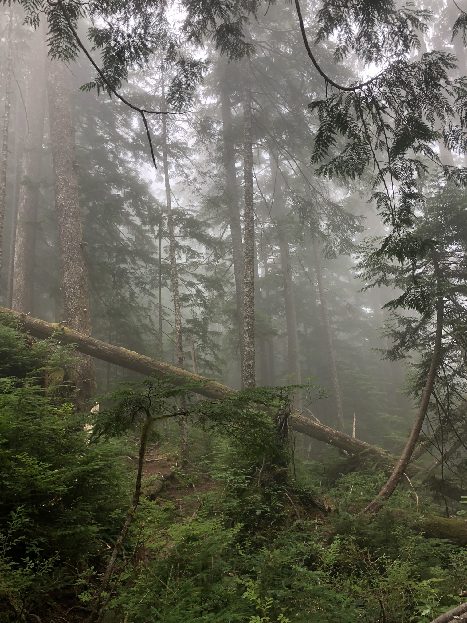 Lake Isabel — Washington Trails Association