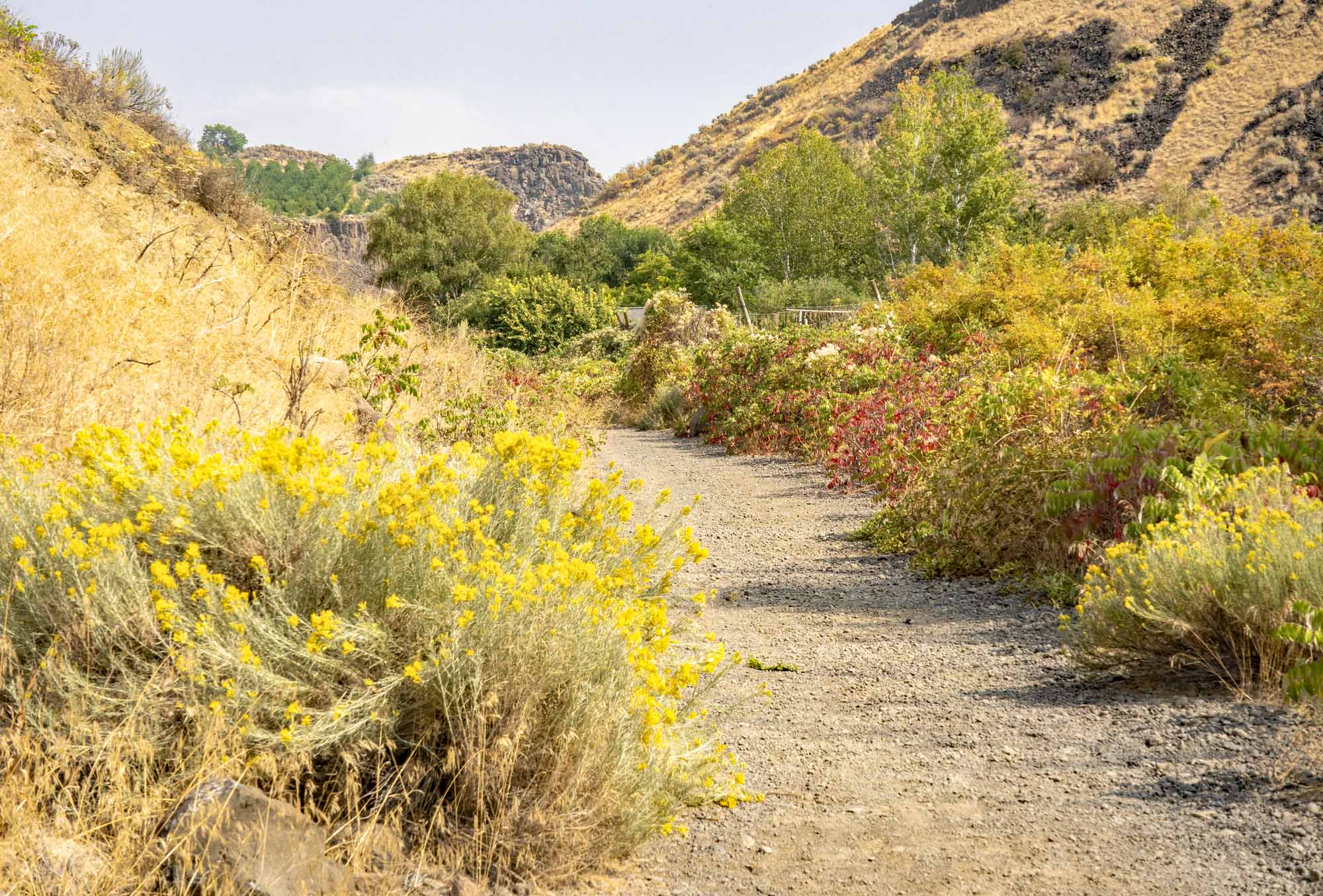 Cowiche Canyon Preserve — Washington Trails Association