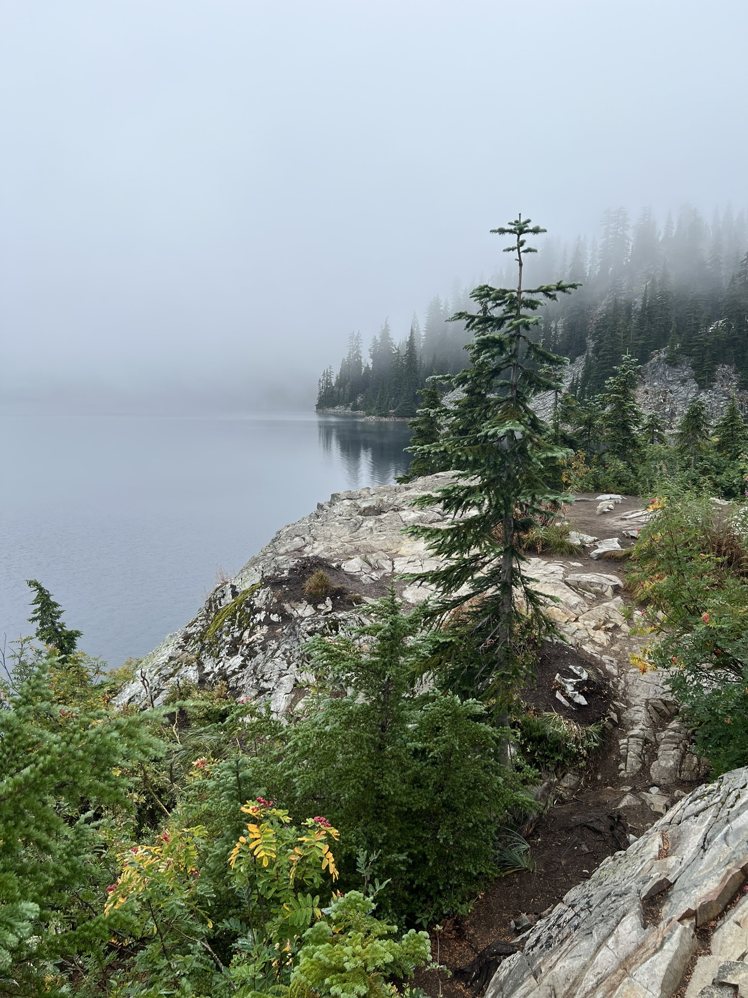 Snow Lake — Washington Trails Association
