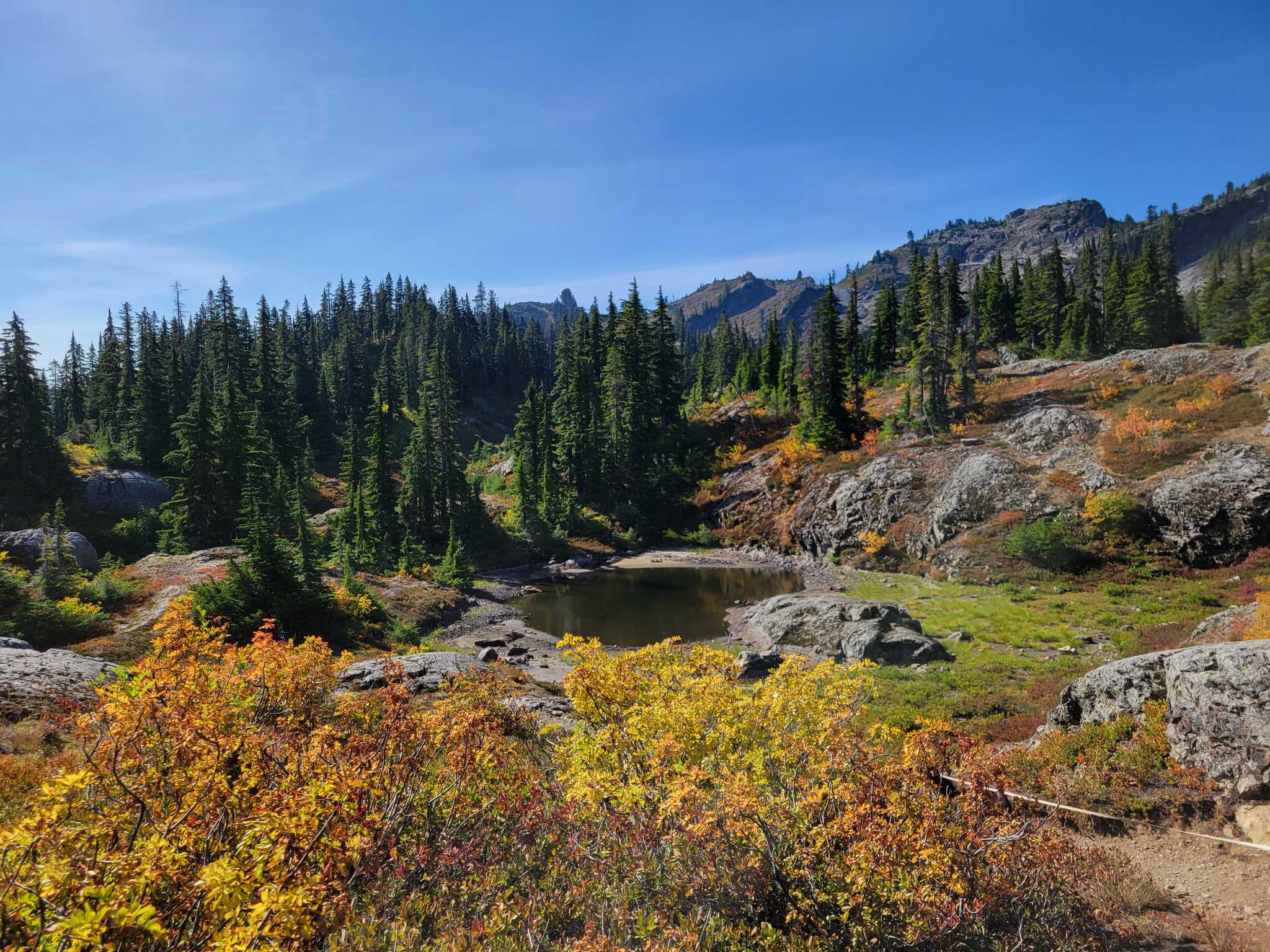 Rampart Ridge - Rampart Lakes — Washington Trails Association