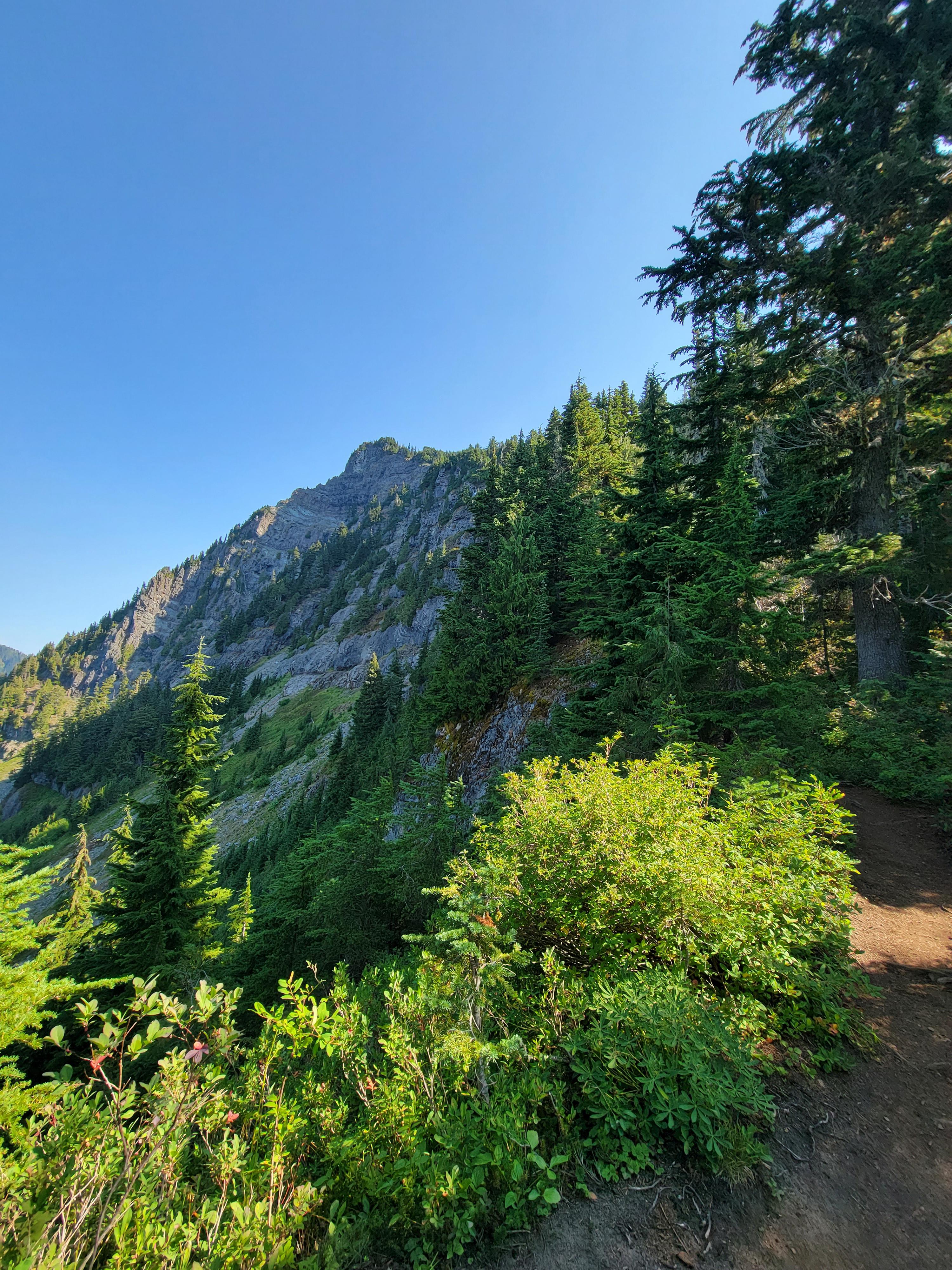Mount Dickerman — Washington Trails Association