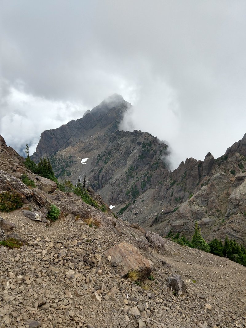 Mount Ellinor — Washington Trails Association