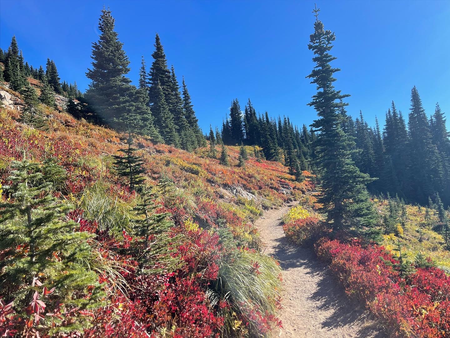 Naches Peak Loop — Washington Trails Association
