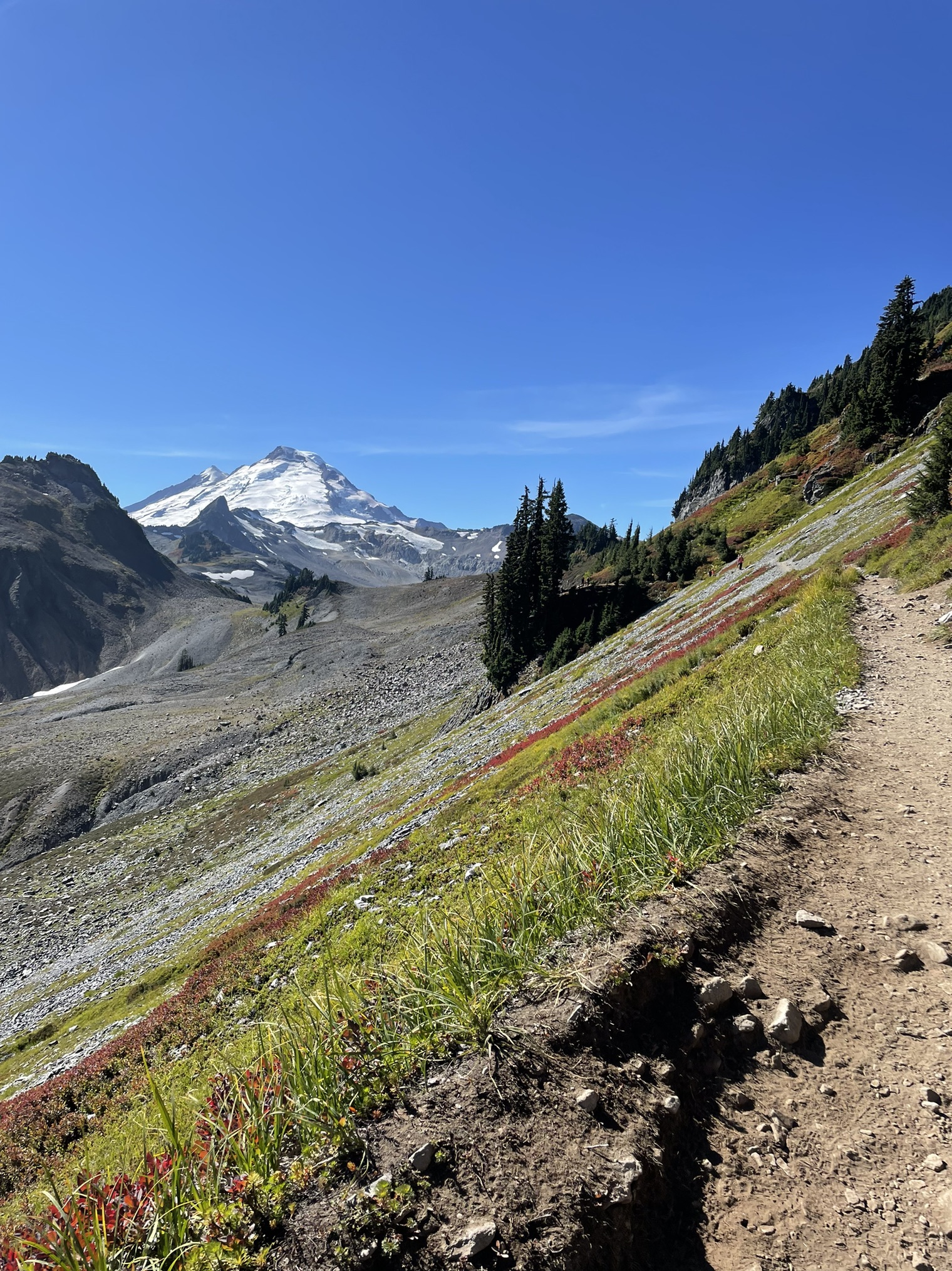 Chain Lakes Loop — Washington Trails Association