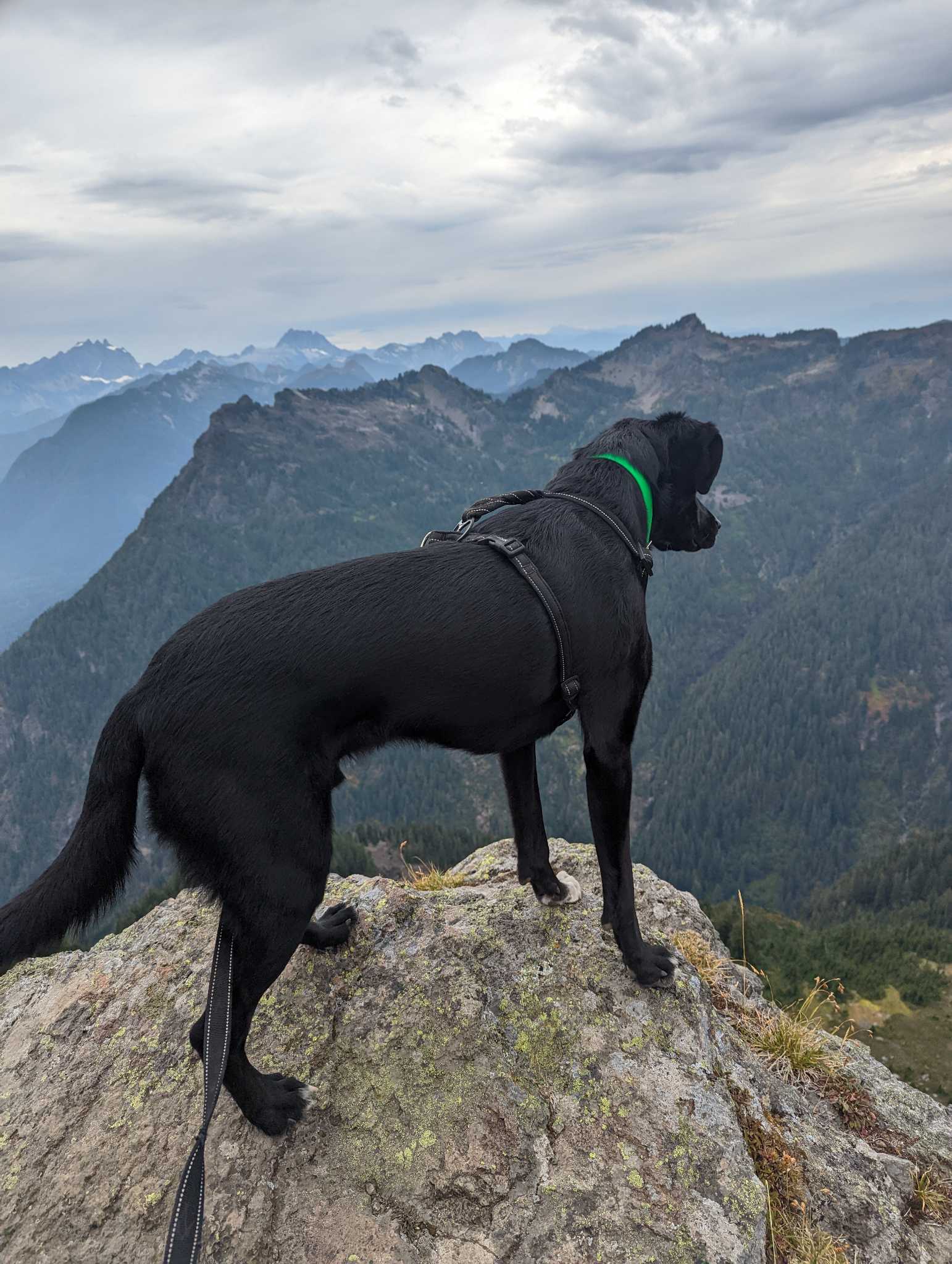 Mount Dickerman — Washington Trails Association