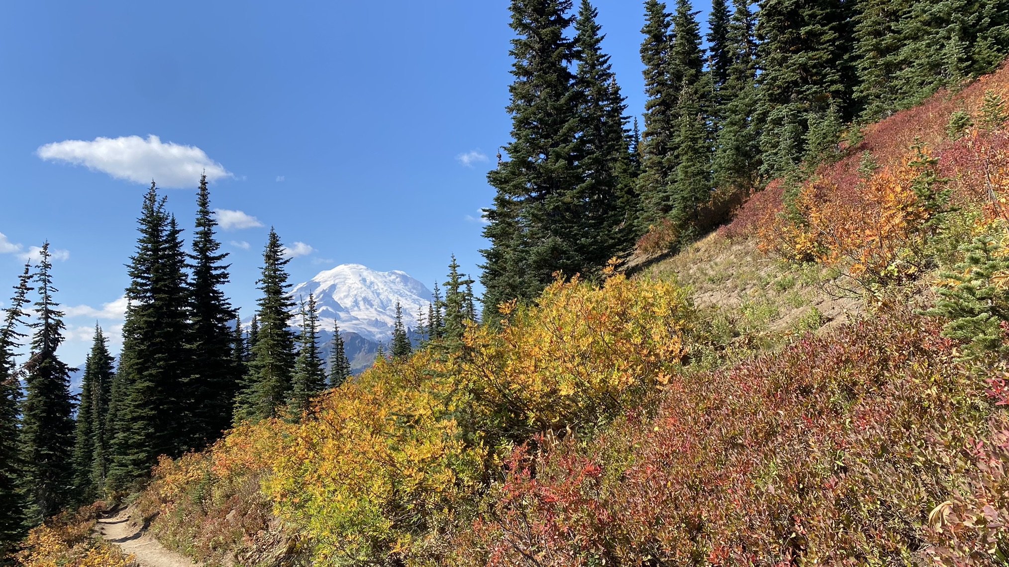 Naches Peak Loop — Washington Trails Association