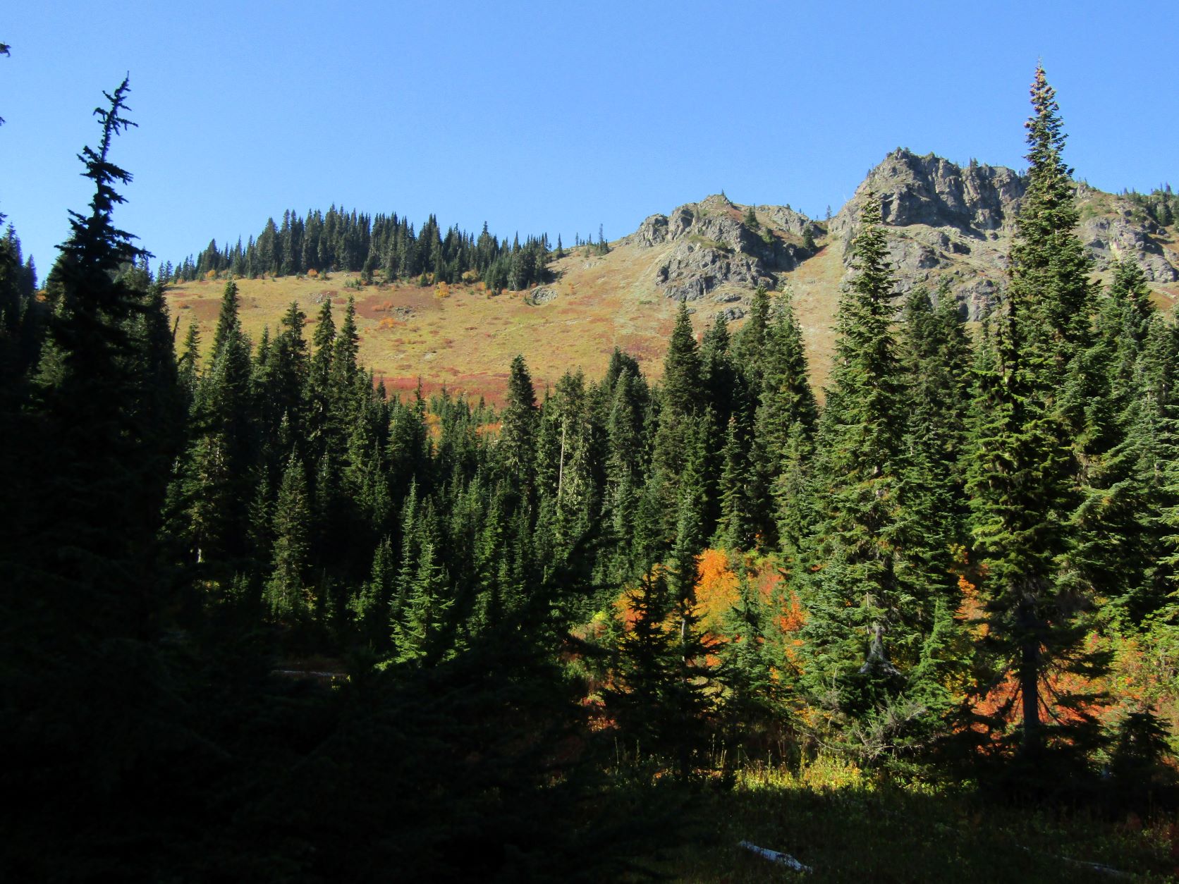 Canyon Ridge, Boundary Way — Washington Trails Association