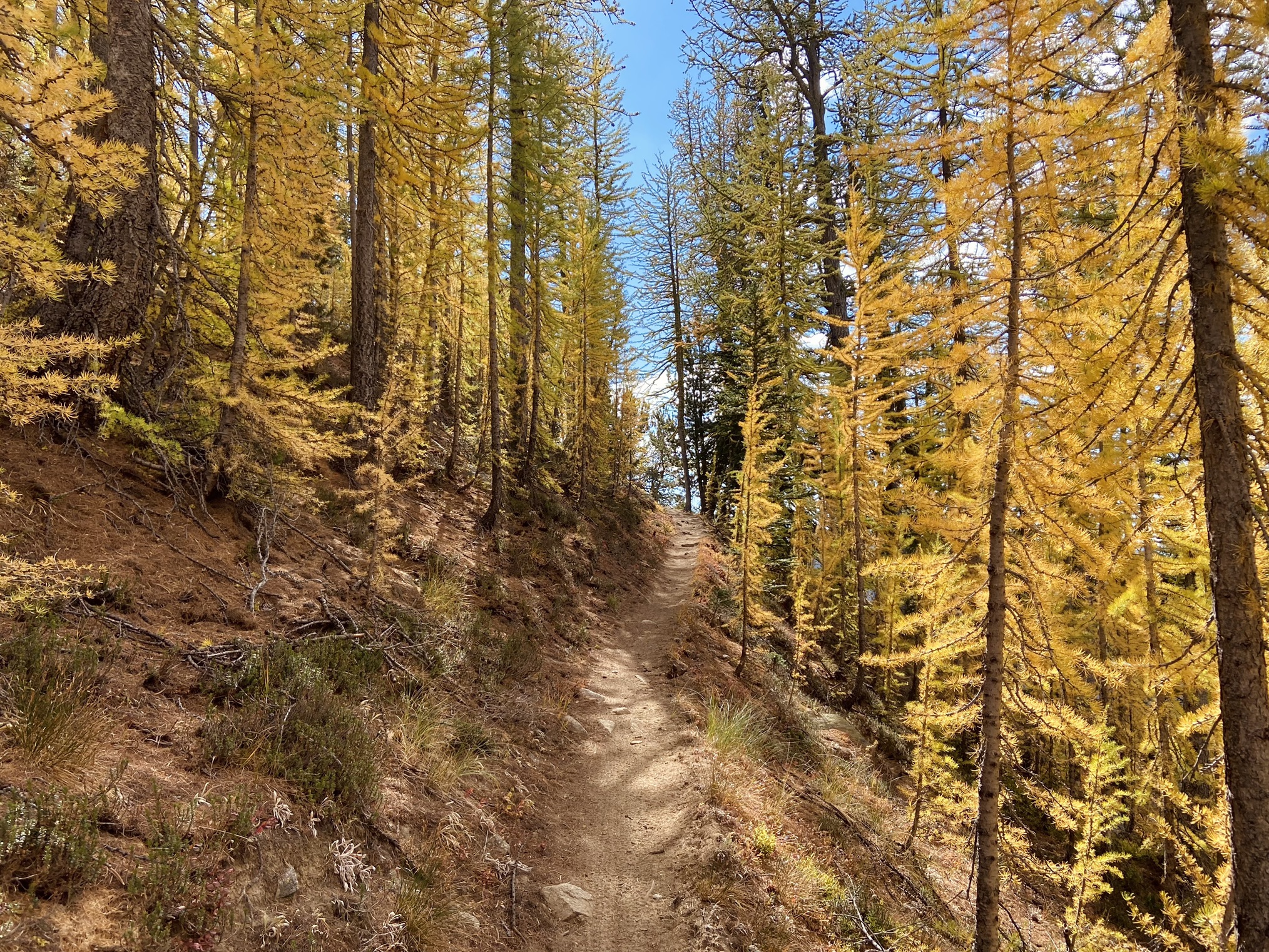 Sawtooth Lakes Loop — Washington Trails Association