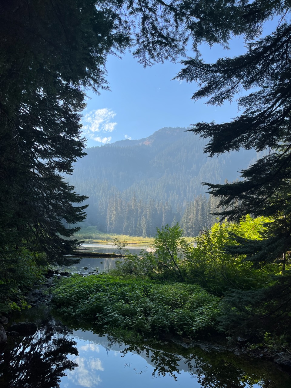 Silver Peak, Cold Creek Loop via Tinkham and Silver Peaks — Washington ...