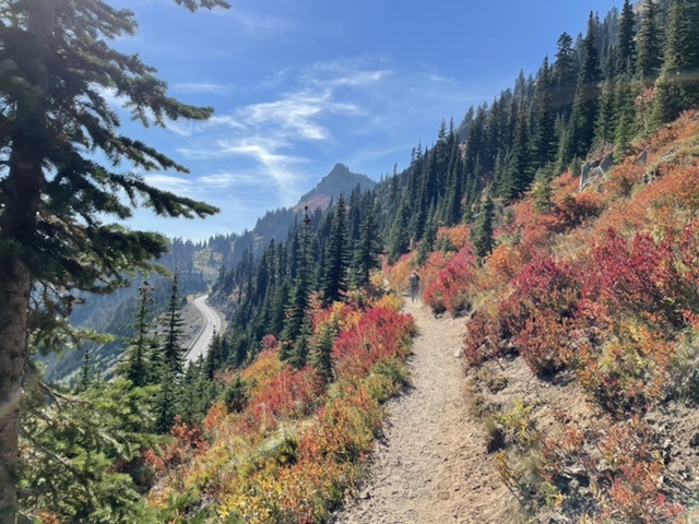 Sheep Lake — Washington Trails Association