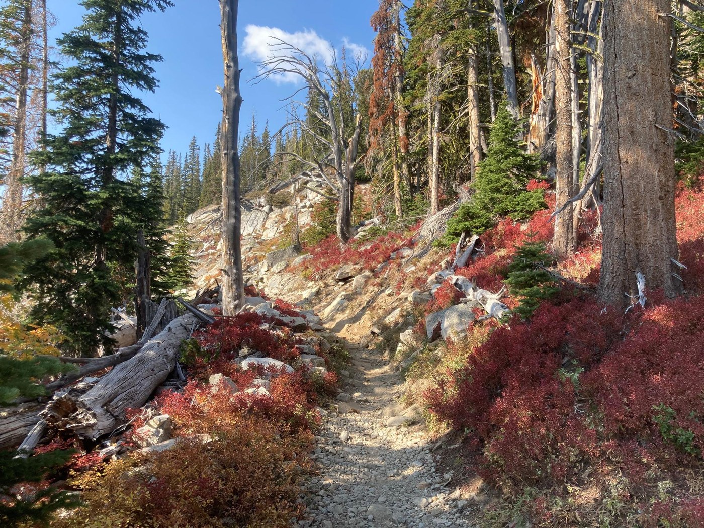 Eagle Lakes — Washington Trails Association