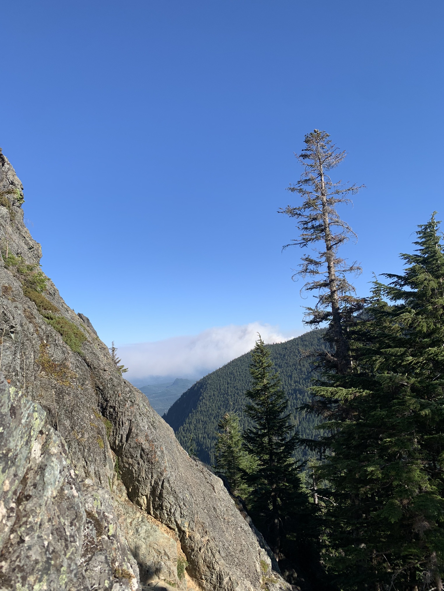 Mount Si — Washington Trails Association