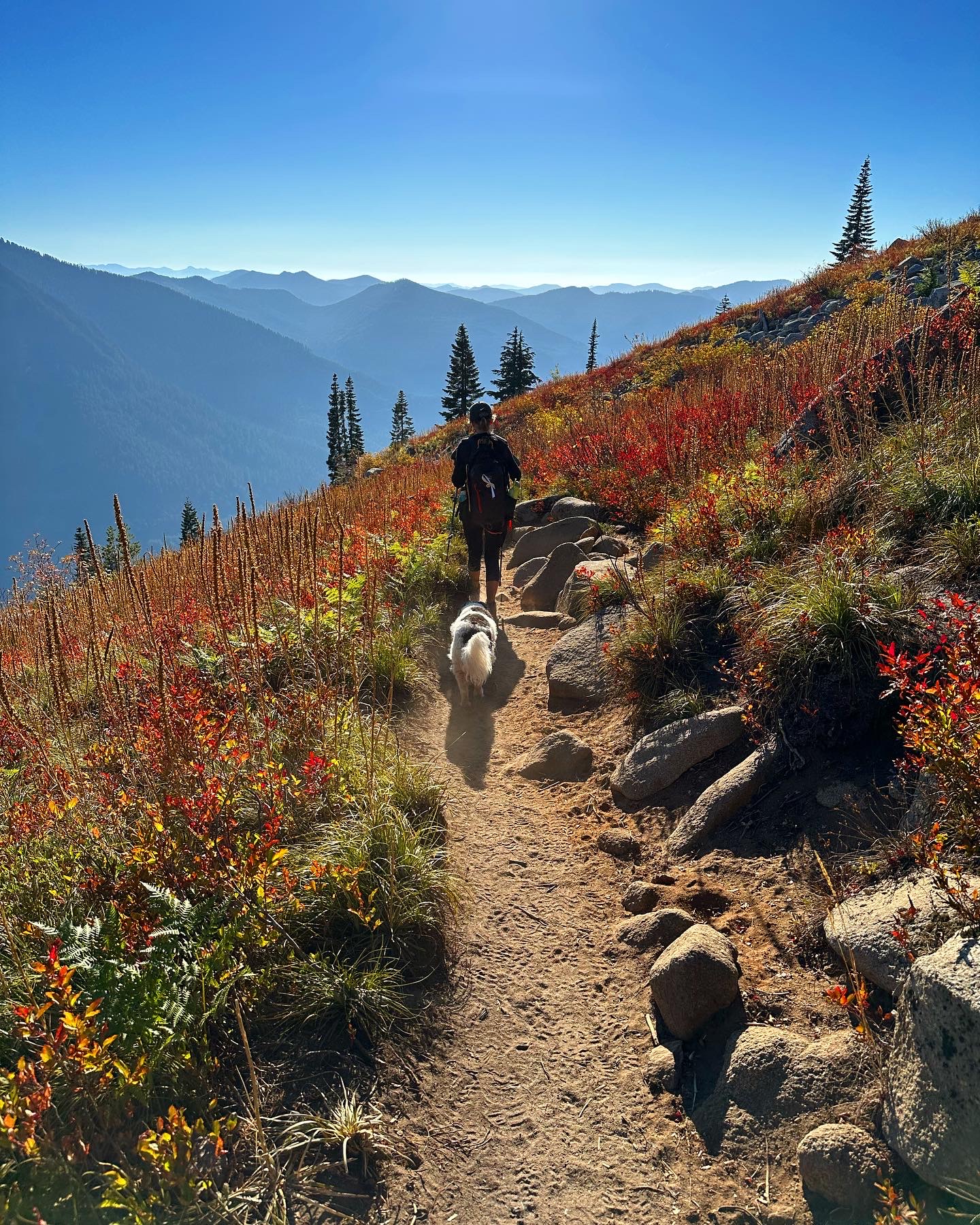 Granite Mountain — Washington Trails Association
