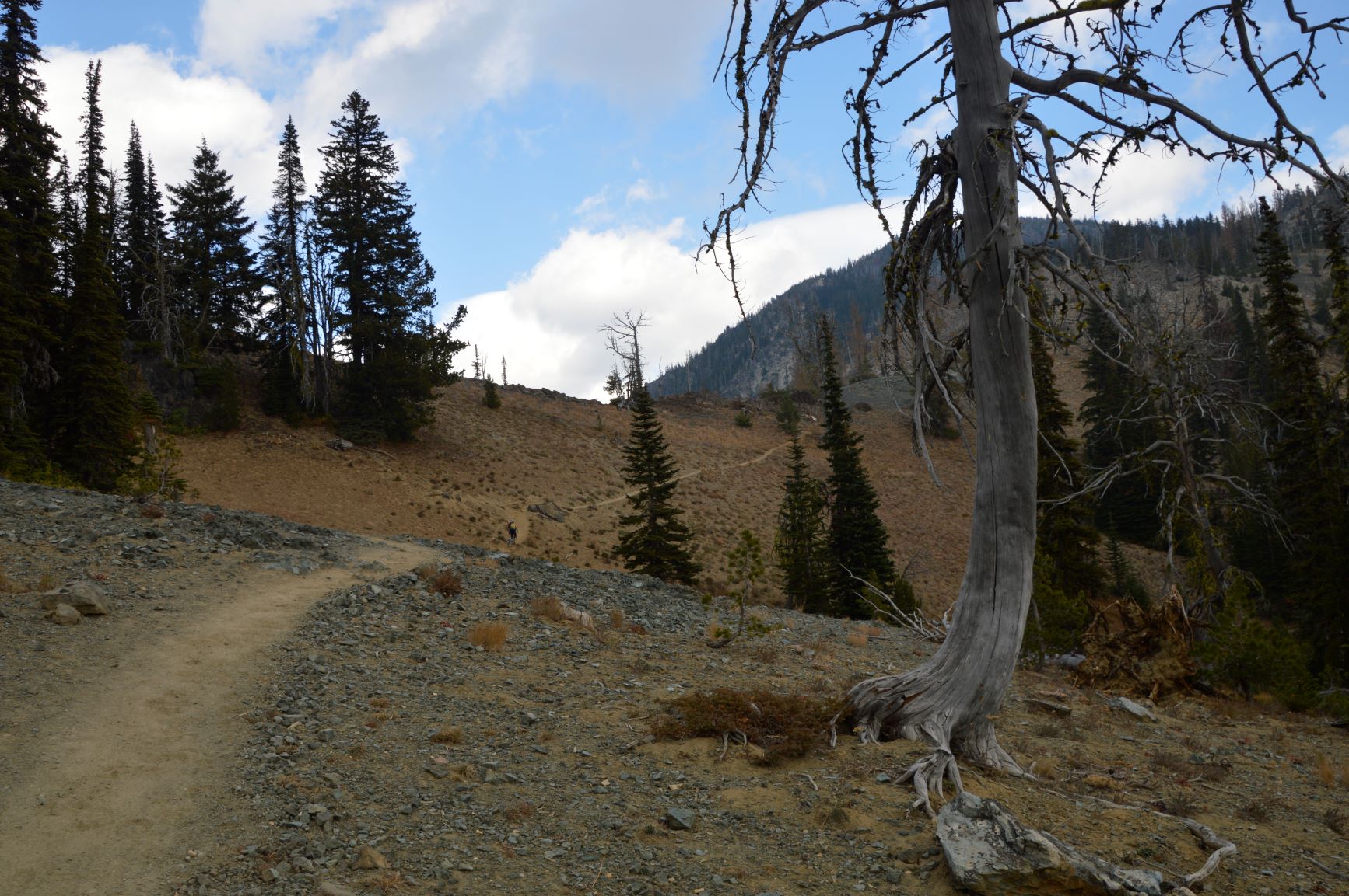 Navaho Pass — Washington Trails Association