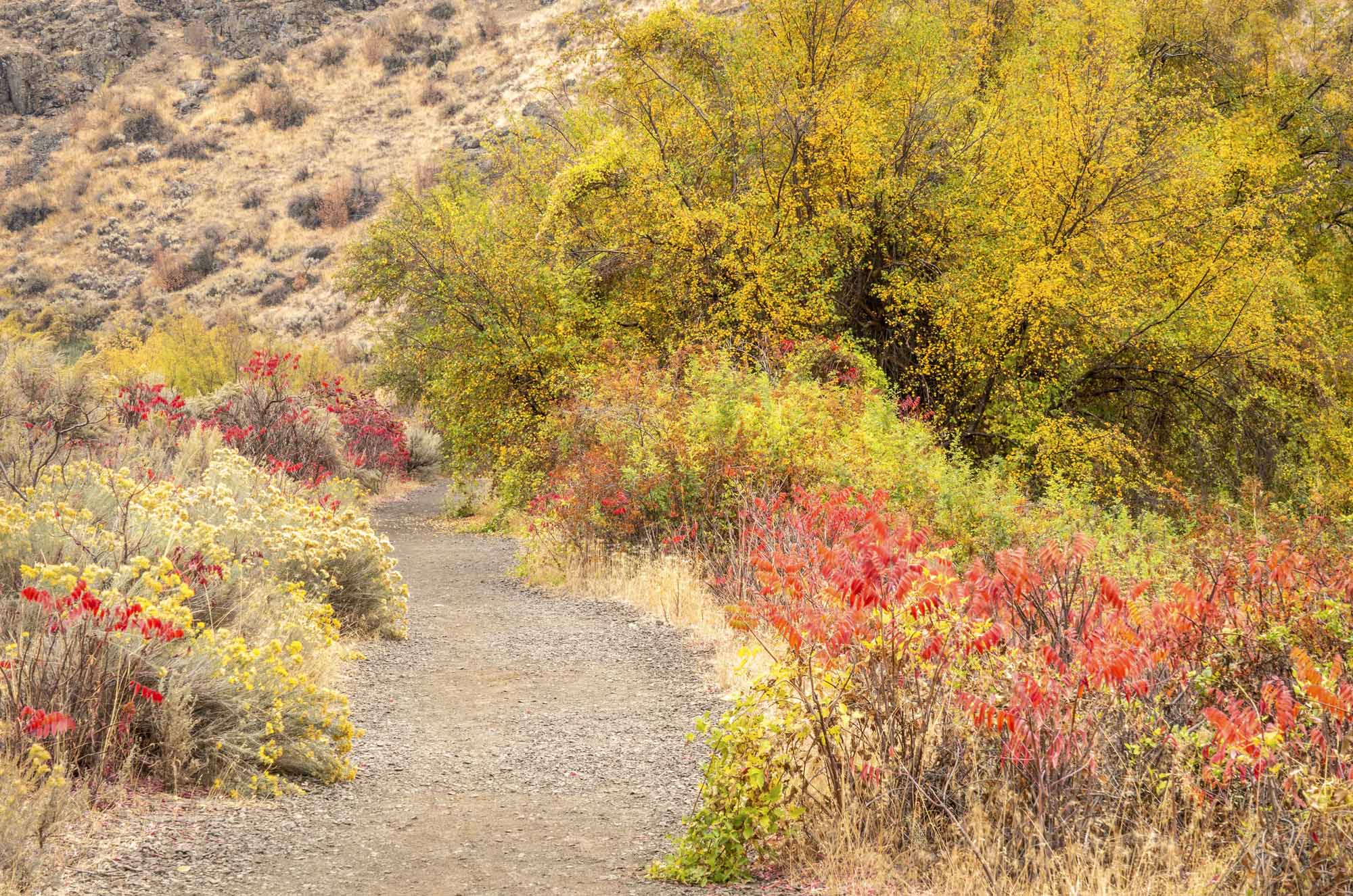 Cowiche Canyon Preserve — Washington Trails Association
