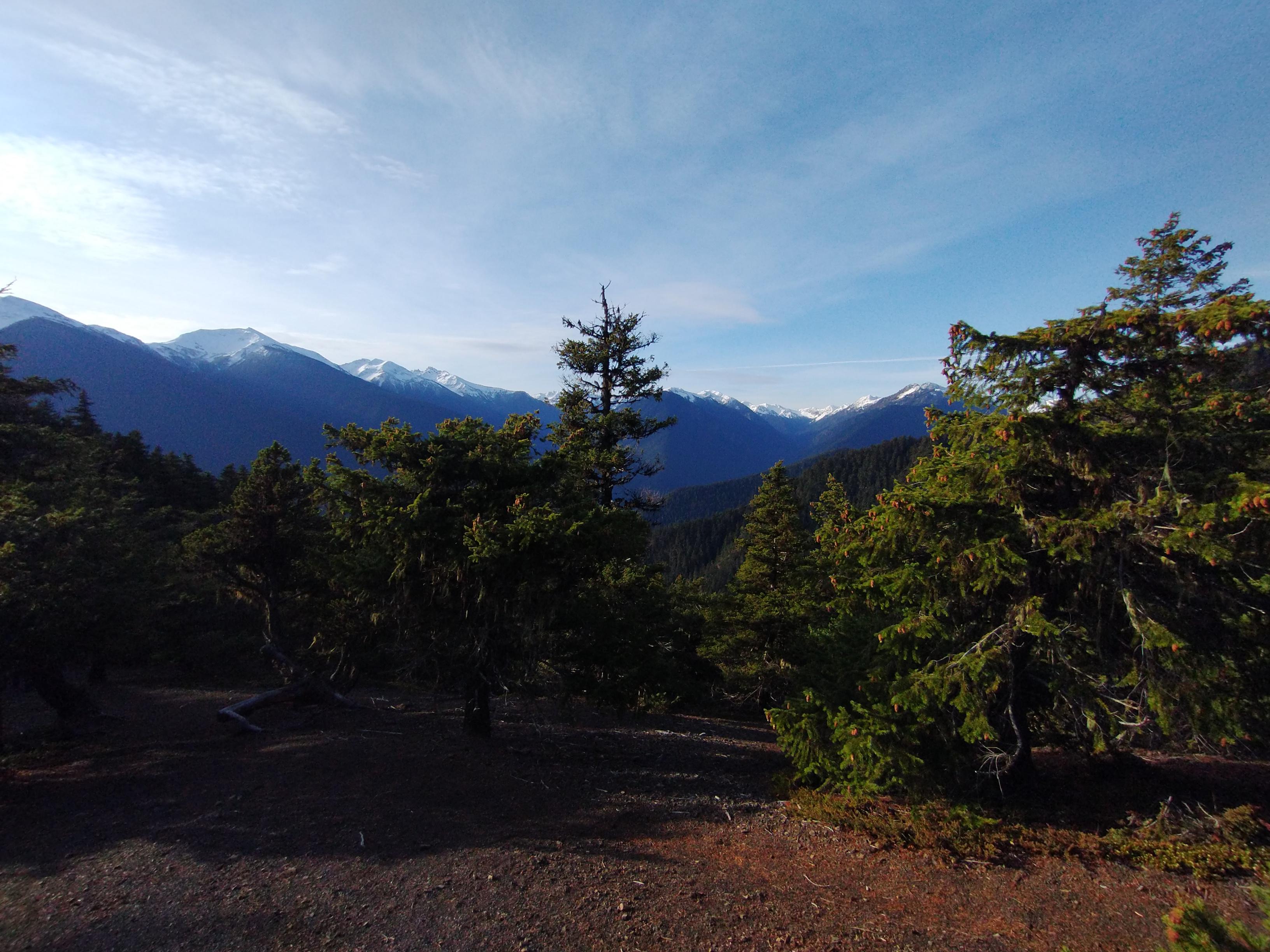 Deer Ridge — Washington Trails Association