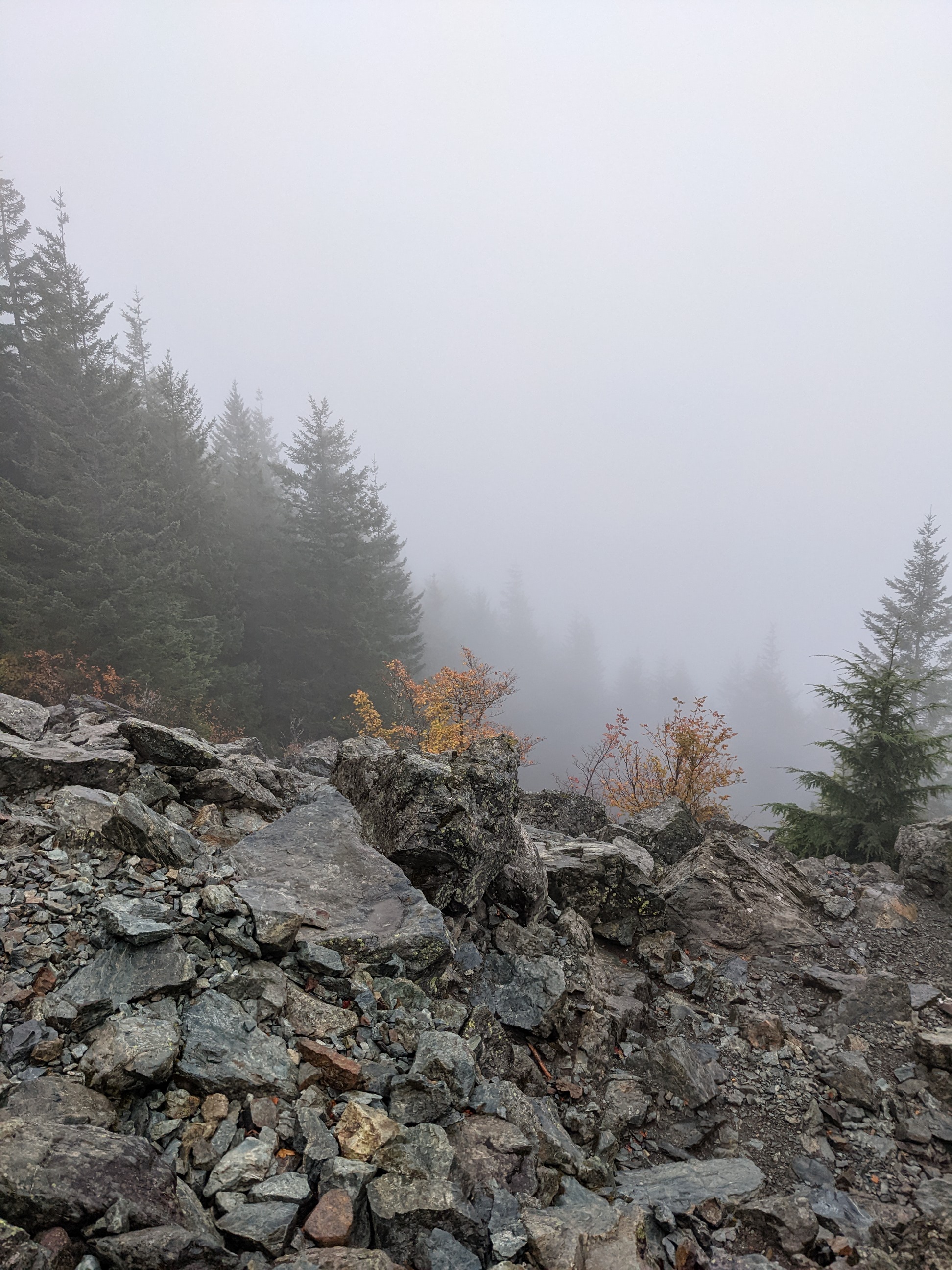 Mount Si — Washington Trails Association