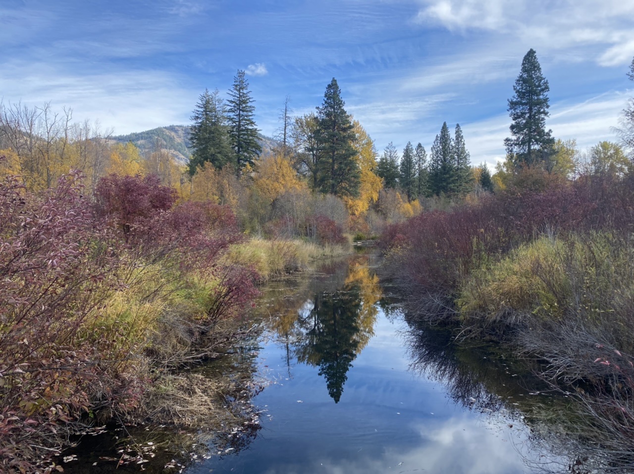 Methow Community Trail — Washington Trails Association