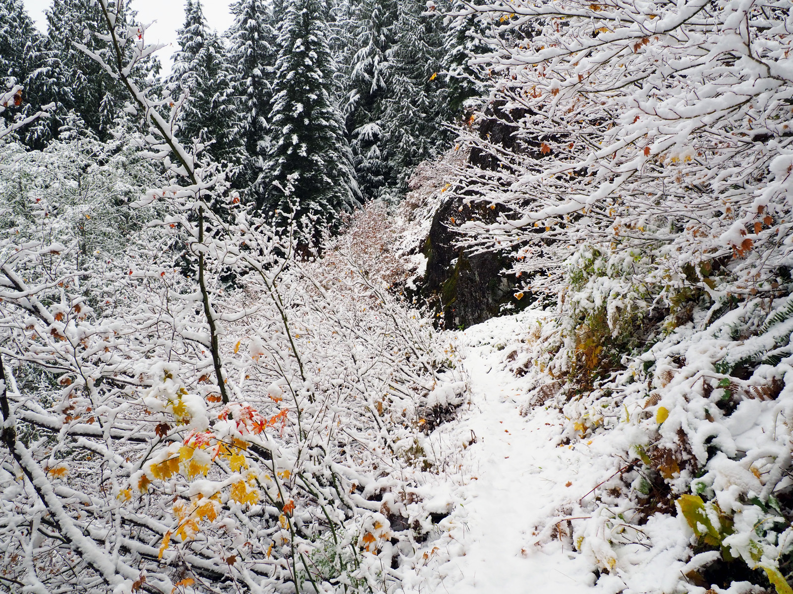 Barlow Point — Washington Trails Association